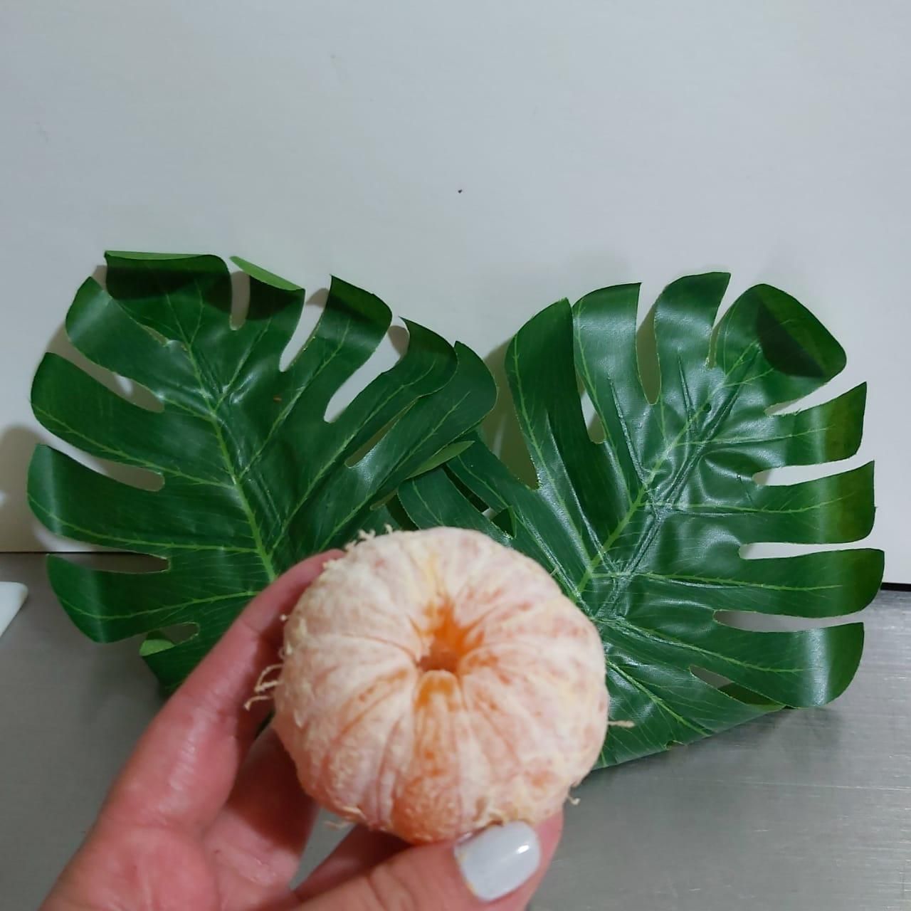 Tropical Parrot With Pineapple (fruit Salad) : 14 Steps (with Pictures ...