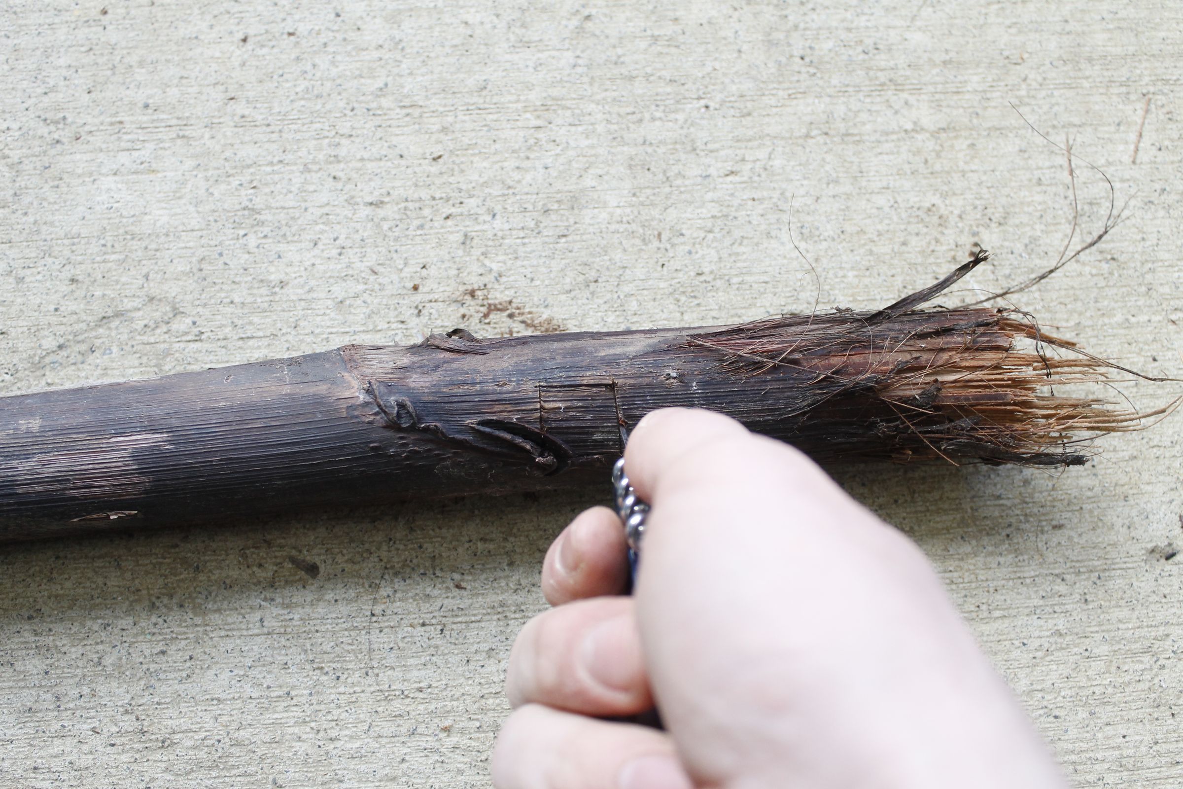 How to Carve a Flax Boat : 10 Steps (with Pictures) - Instructables