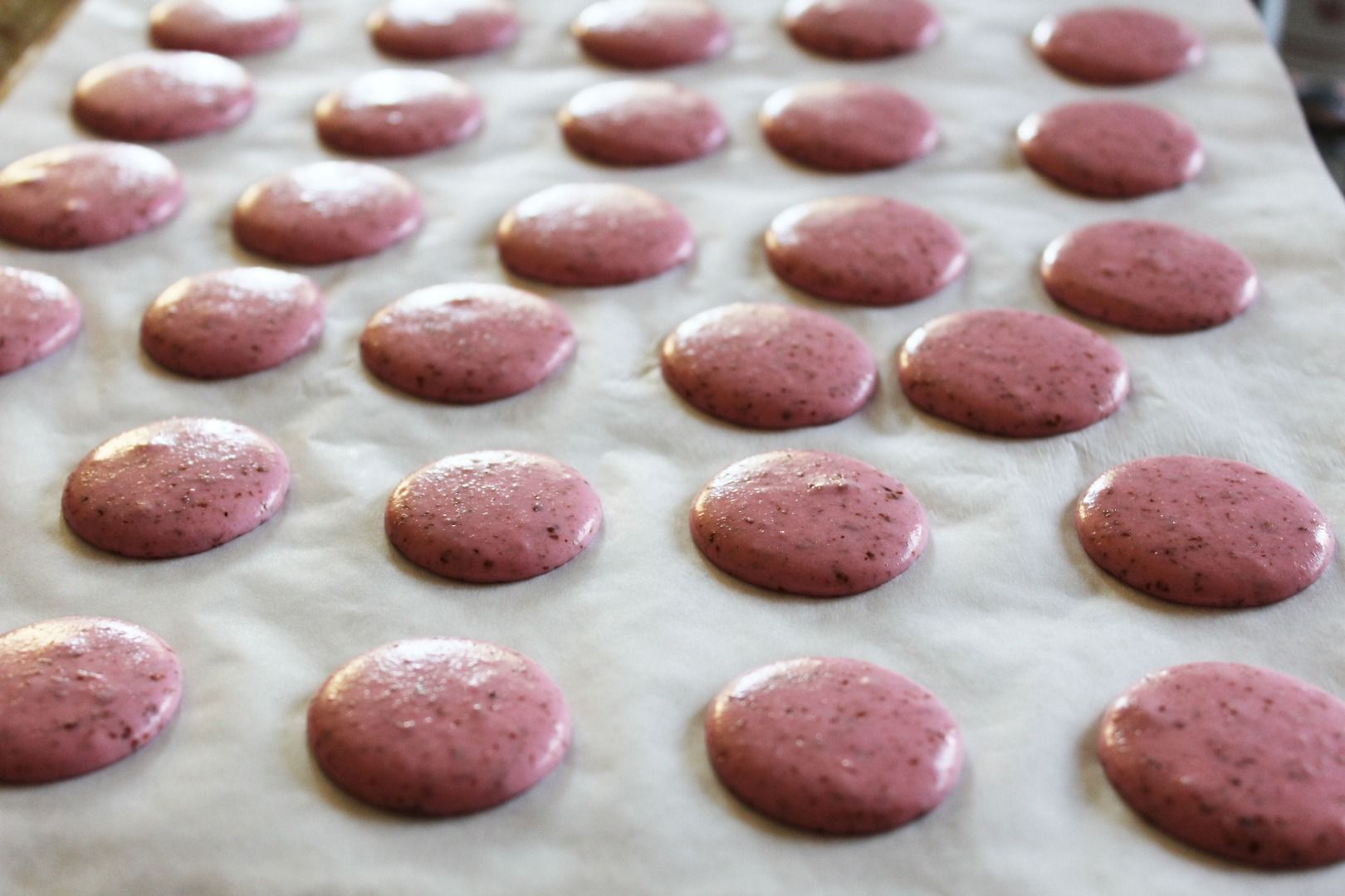 Passable (Beginner's) Macarons : 12 Steps (with Pictures) - Instructables