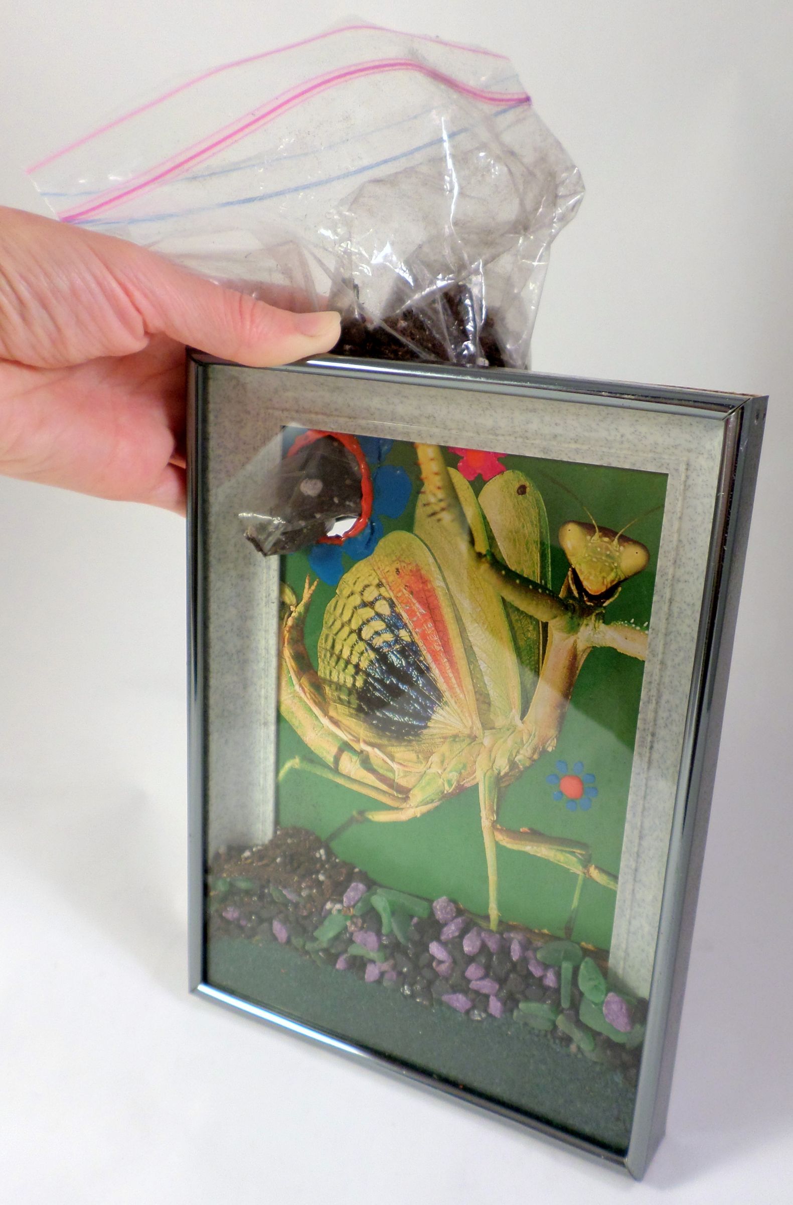 Picture Frame Terrarium : 13 Steps (with Pictures) - Instructables