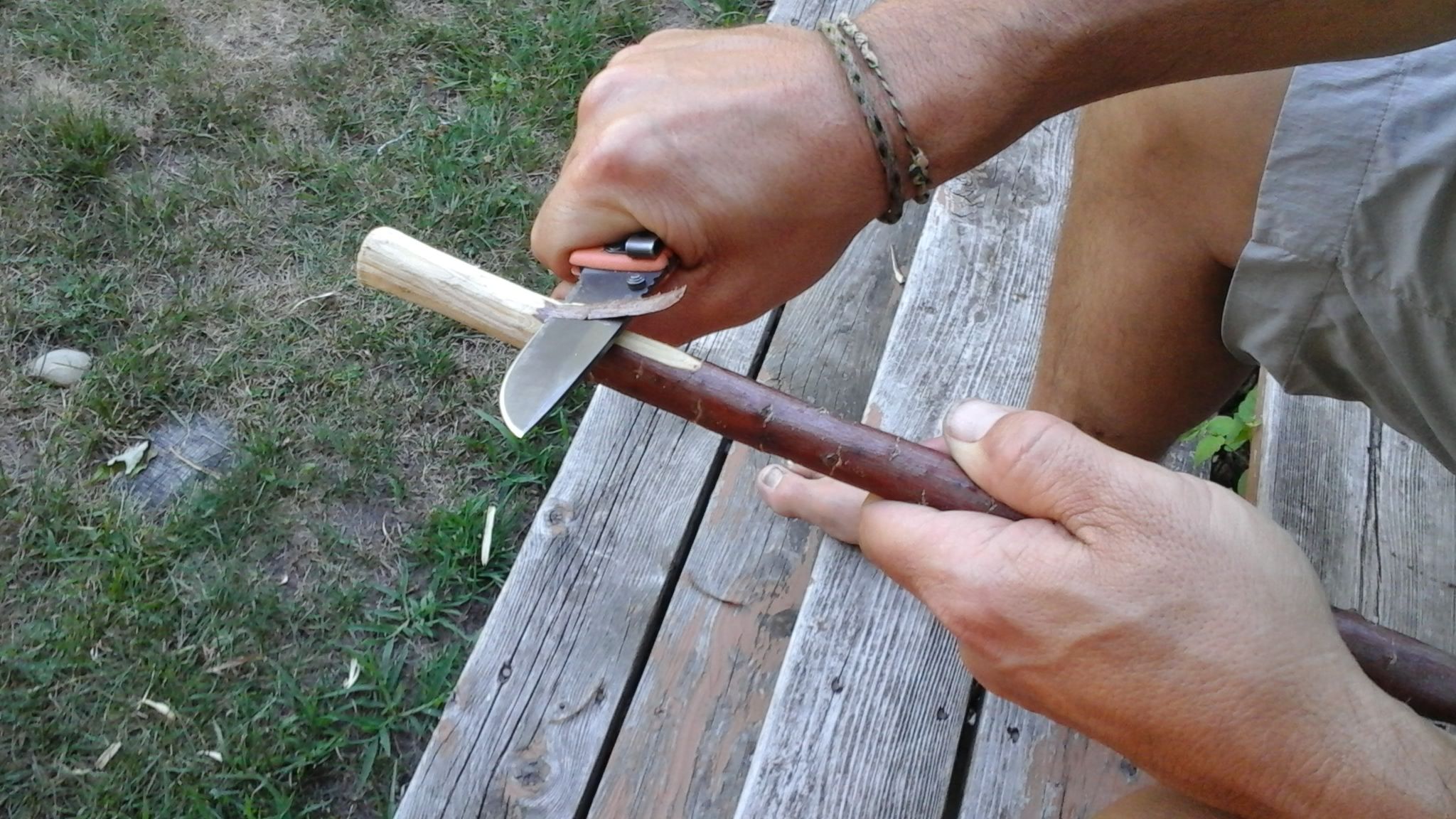 Wacky Walking Sticks : 5 Steps (with Pictures) - Instructables