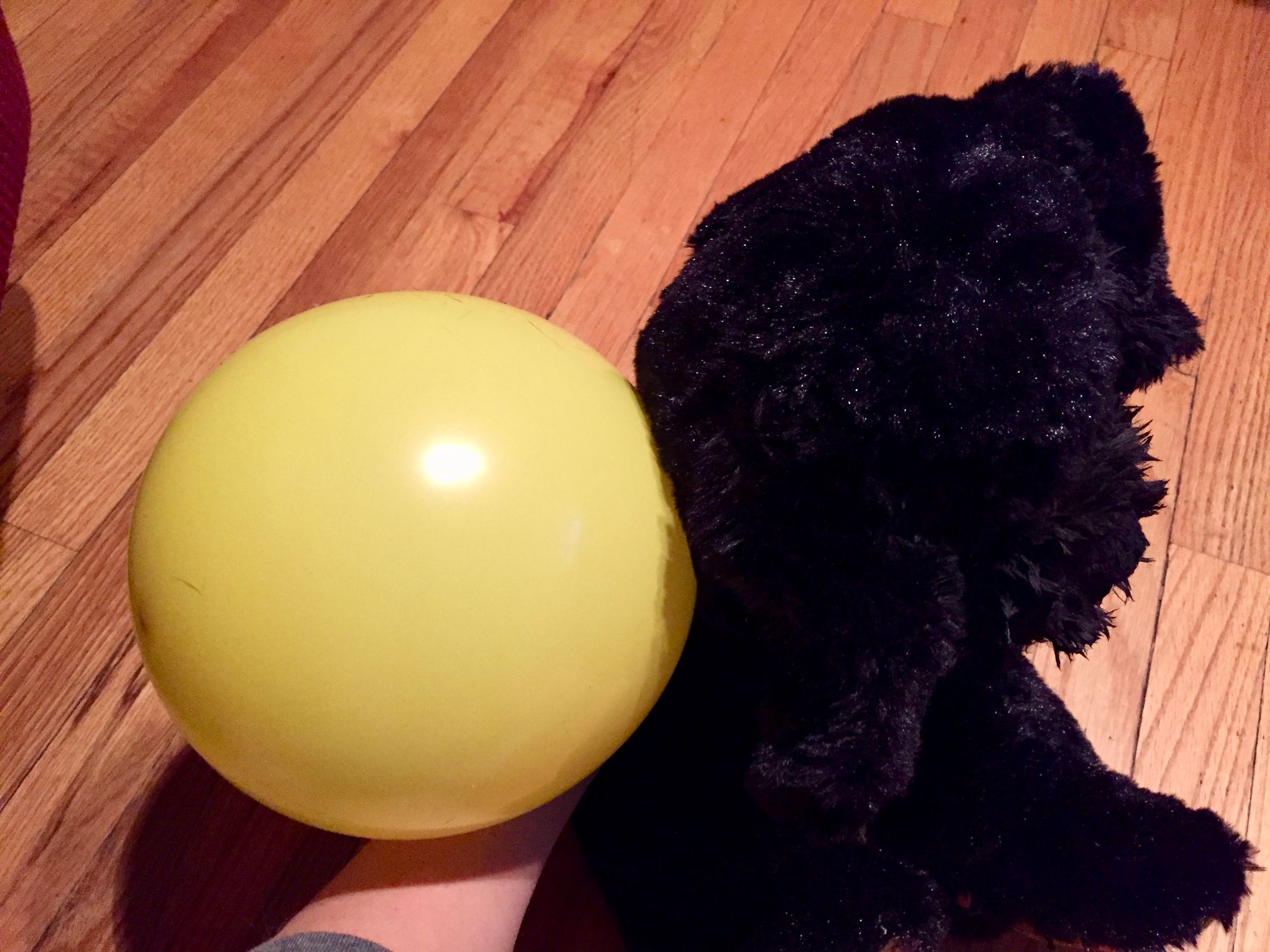 Cerberus Aka. "Fluffy" Costume for Your Dog : 8 Steps (with Pictures ...