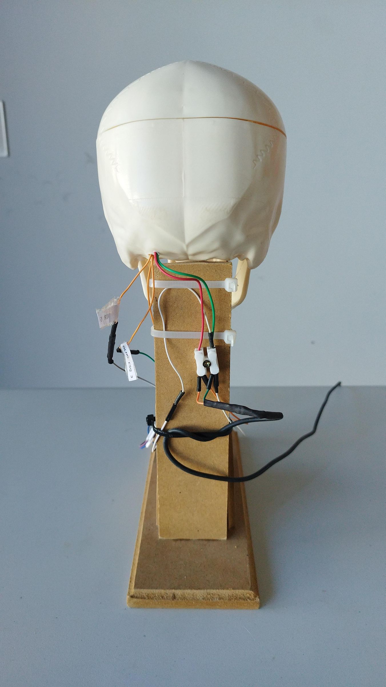 Animatronic Skull With Arduino : 7 Steps (with Pictures) - Instructables