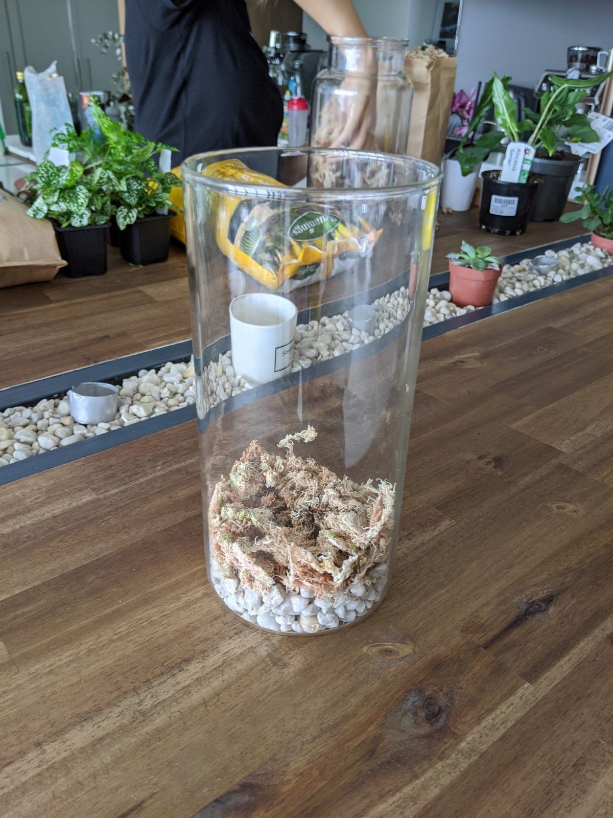 IoT-Terrarium : 6 Steps (with Pictures) - Instructables