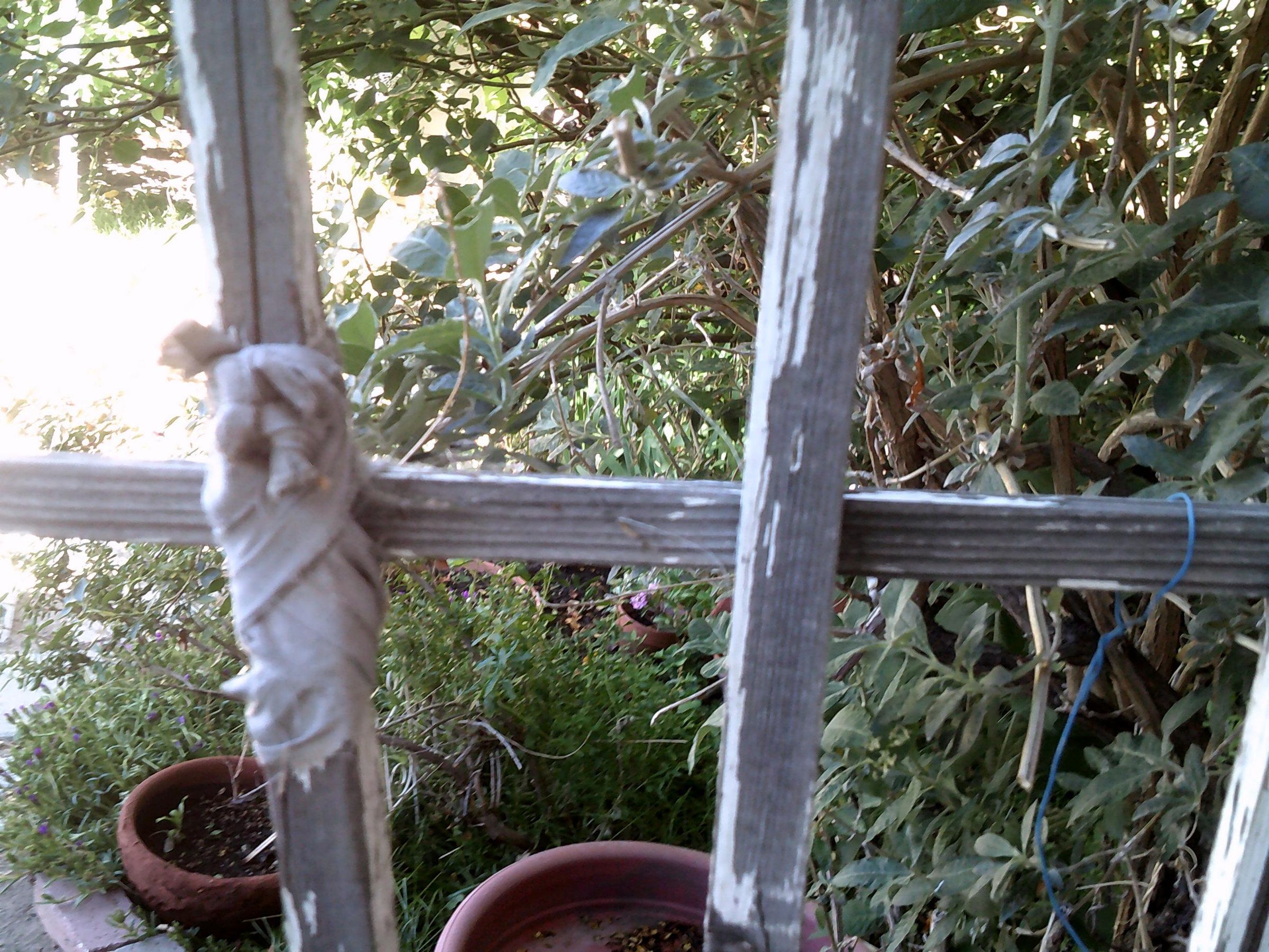 Garden Rainbow : 5 Steps (with Pictures) - Instructables