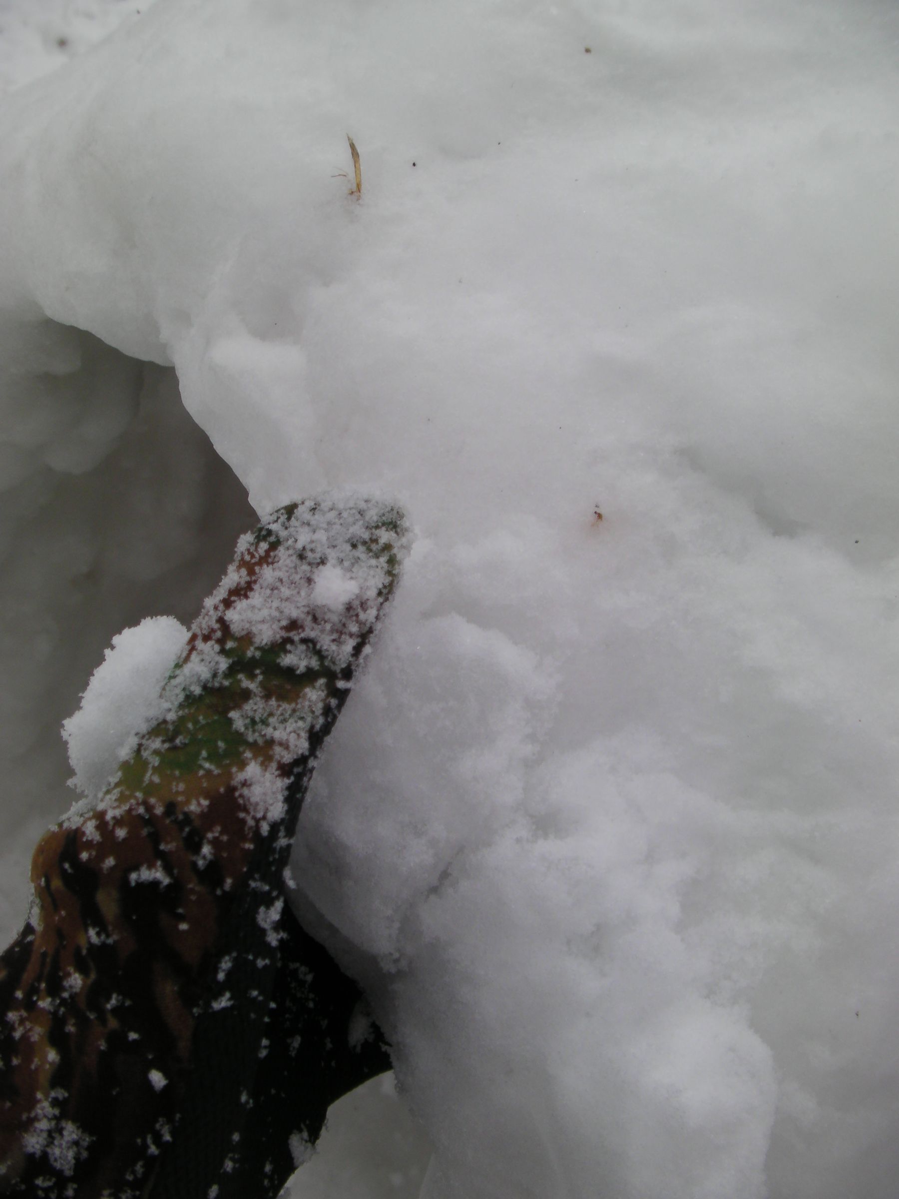 How to Make a Backyard Igloo With Powdery Snow : 5 Steps (with Pictures ...