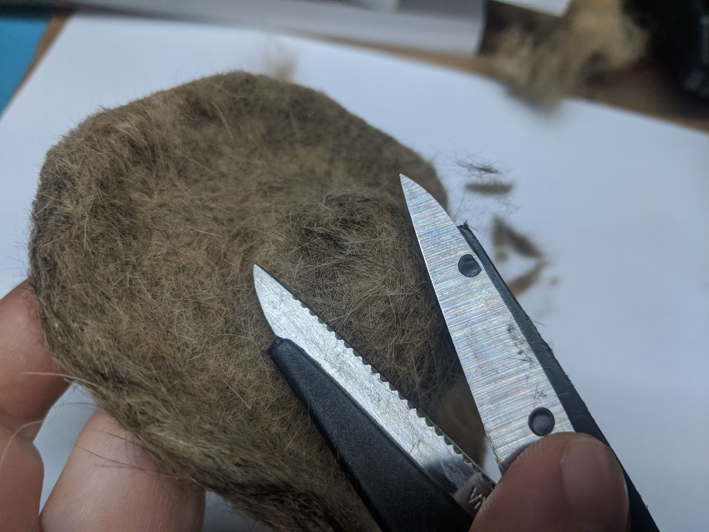 Felted Cat Fur Cat Hat : 3 Steps (with Pictures) - Instructables