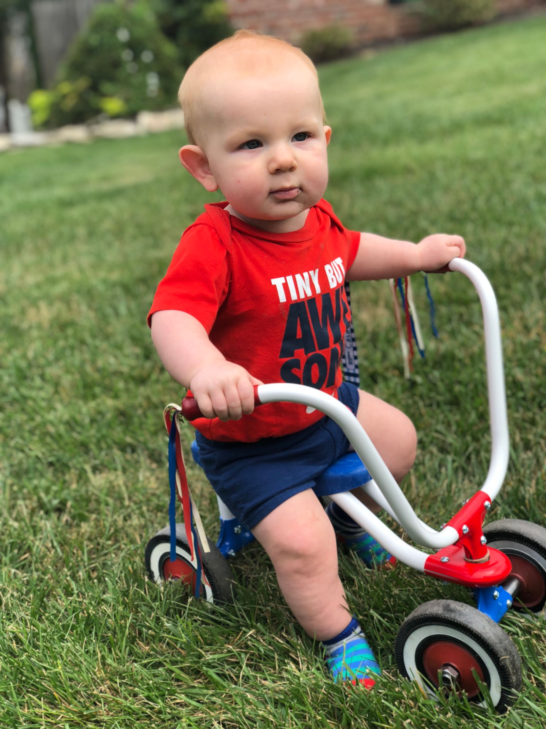 Toddler Push / Kick Bike Restore : 17 Steps (with Pictures) - Instructables