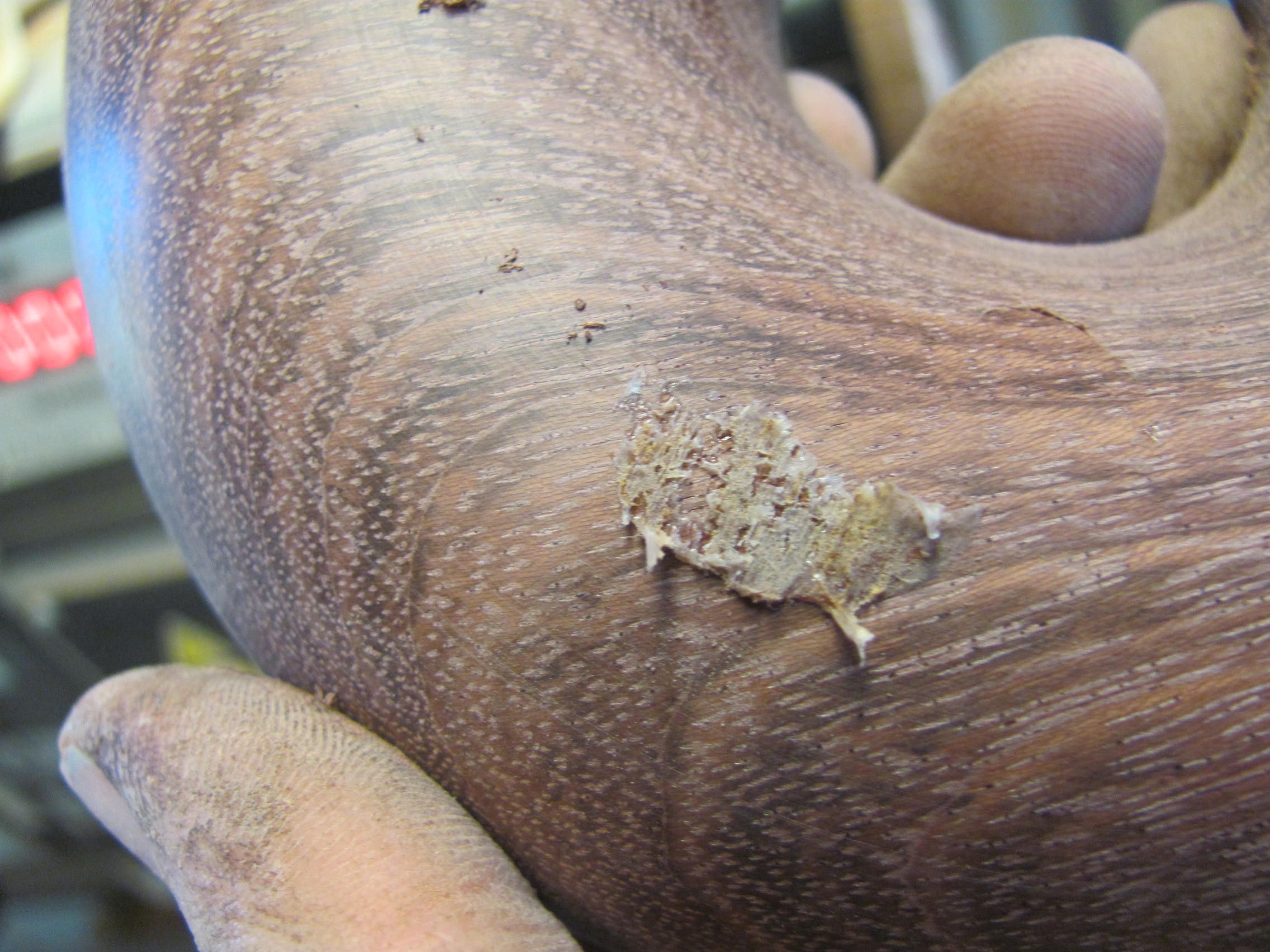 Torus Box : 11 Steps (with Pictures) - Instructables