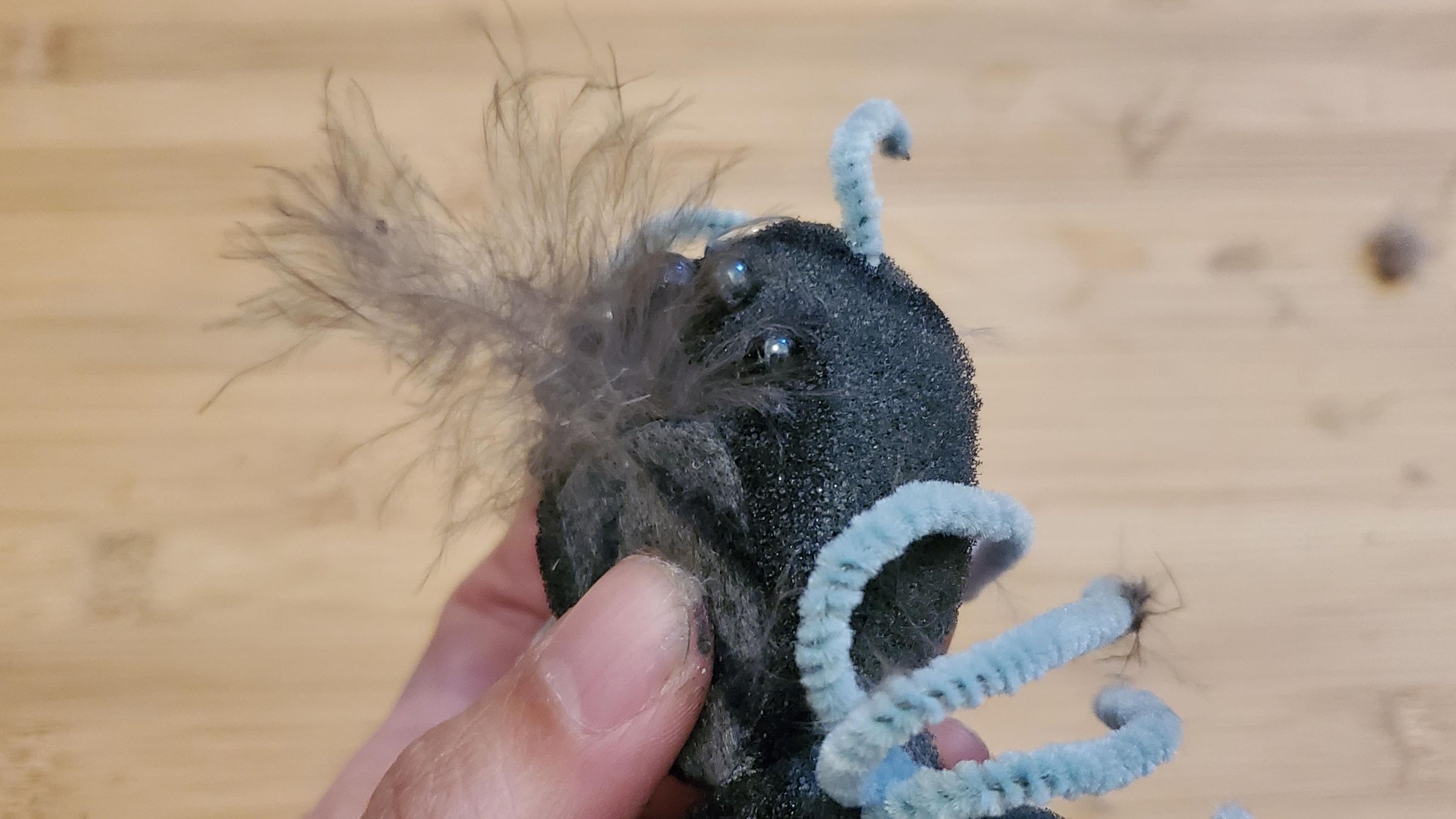 Jumping Spider : 9 Steps (with Pictures) - Instructables