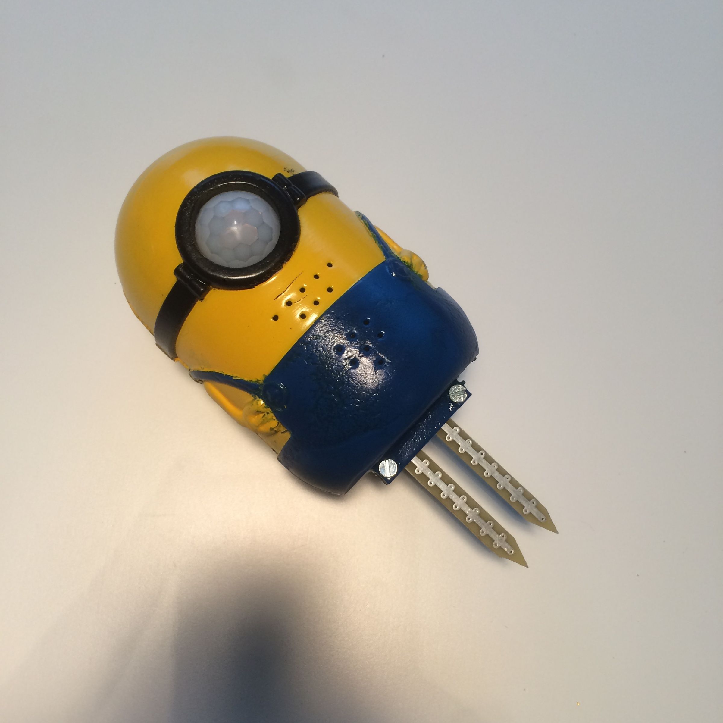 Robot Minion - Plant Watering Robot : 6 Steps (with Pictures ...