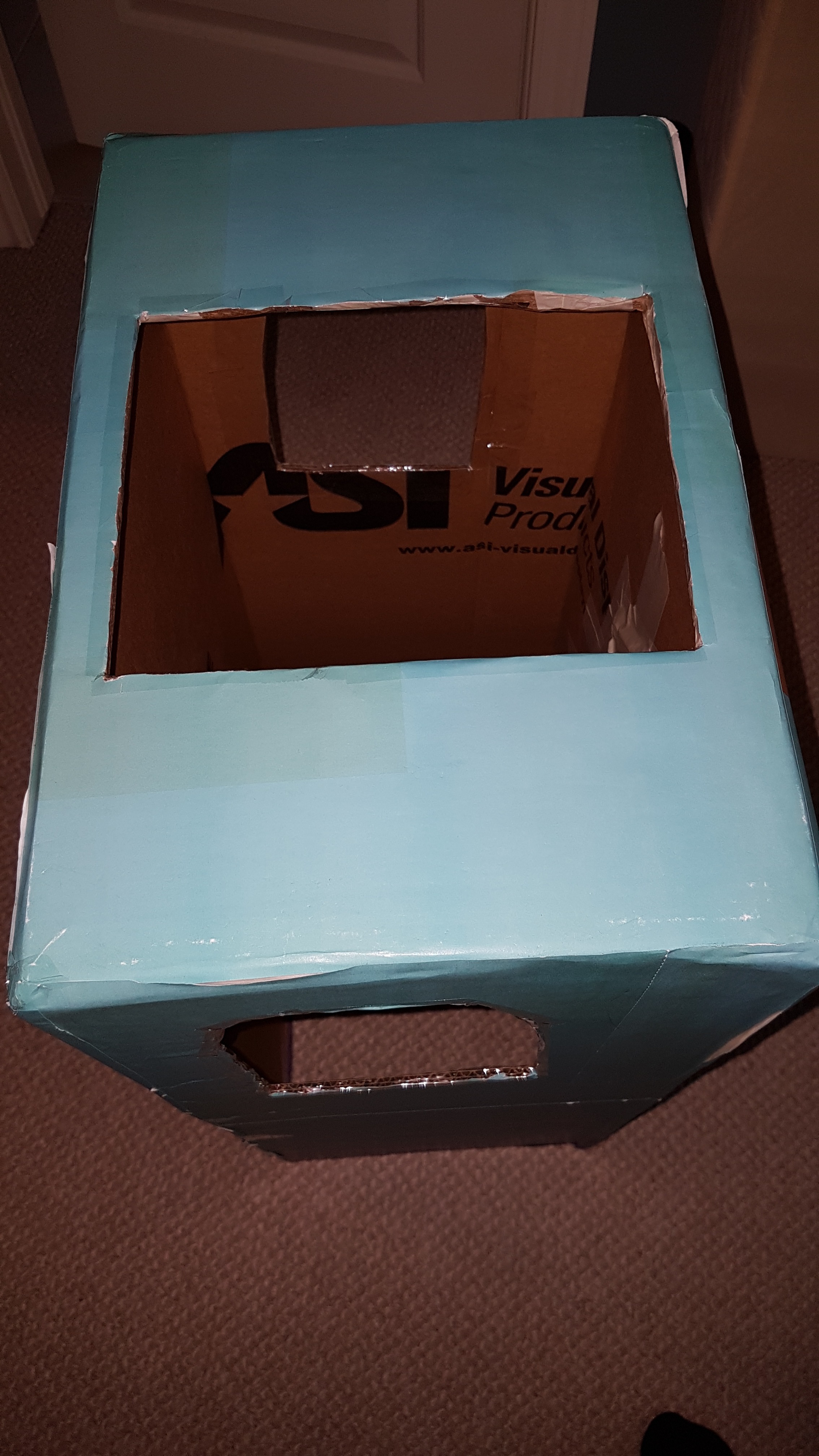 Minecraft Steve Cardboard Box Costume DIY : 12 Steps - Instructables