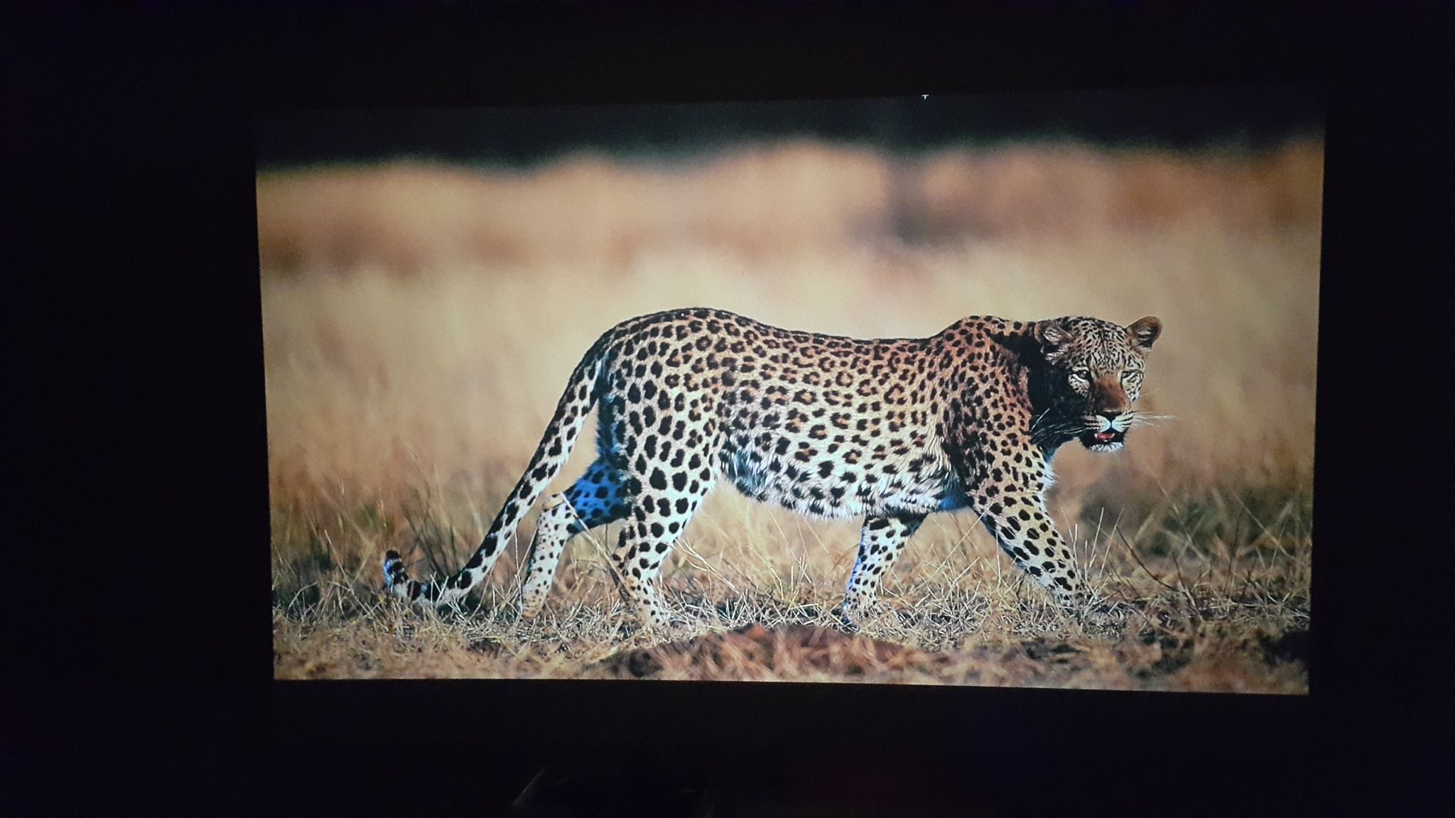 World First! DIY Real 4k (UHD) Beam Projector : 11 Steps (with Pictures ...