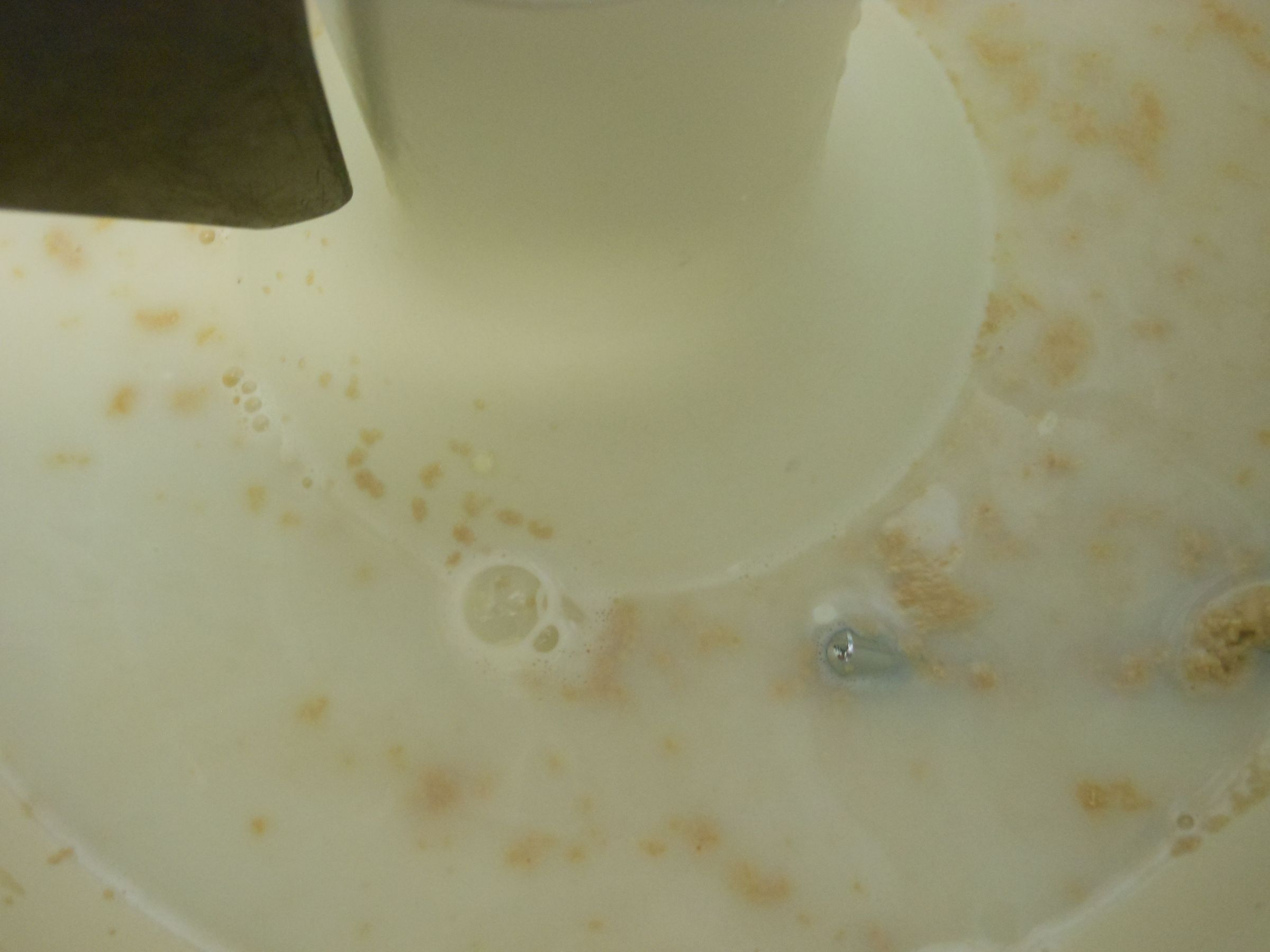 Spudnuts (Potato Doughnuts) : 20 Steps (with Pictures) - Instructables