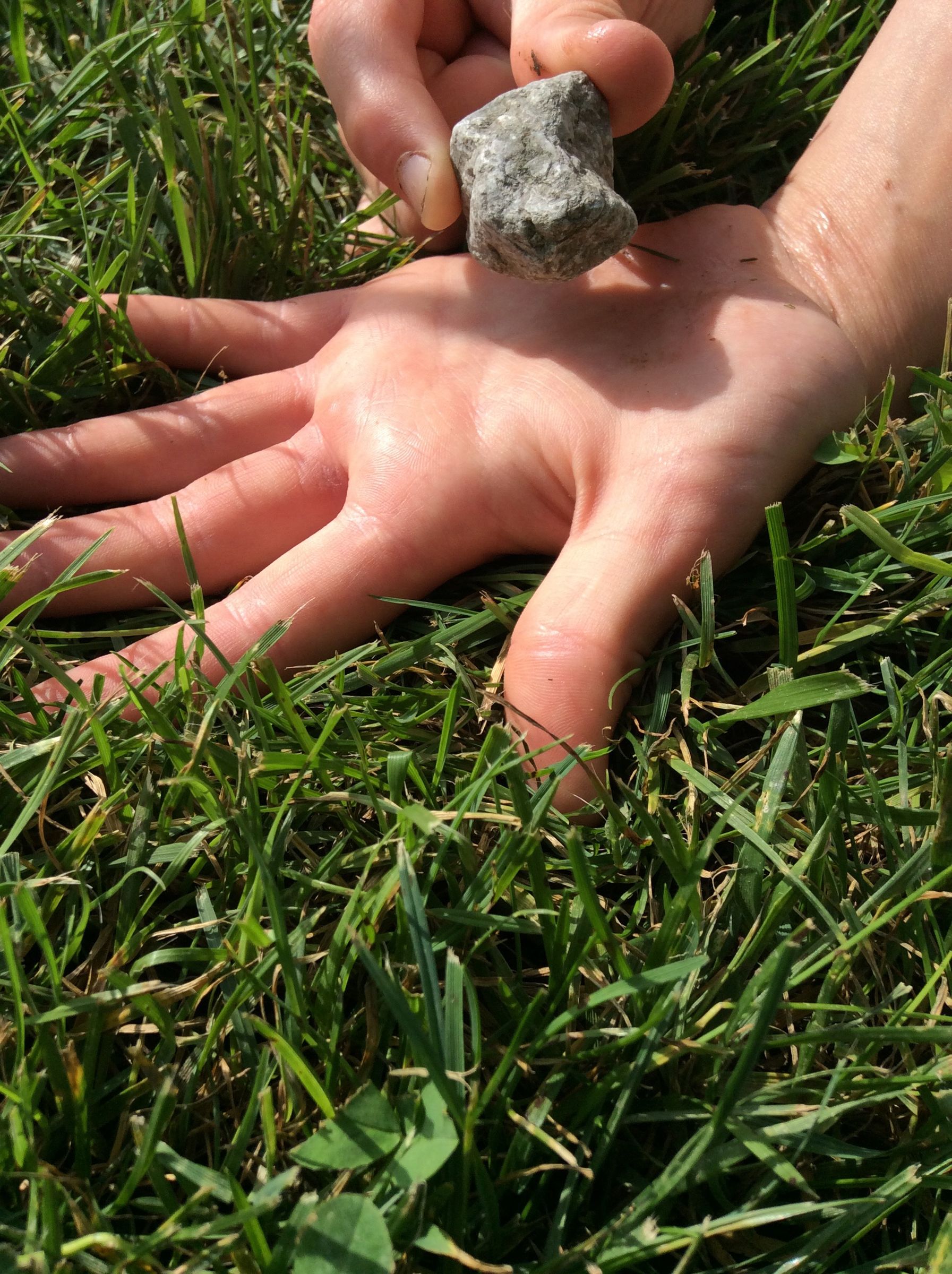 Find North With a Stick and the Sun : 6 Steps - Instructables