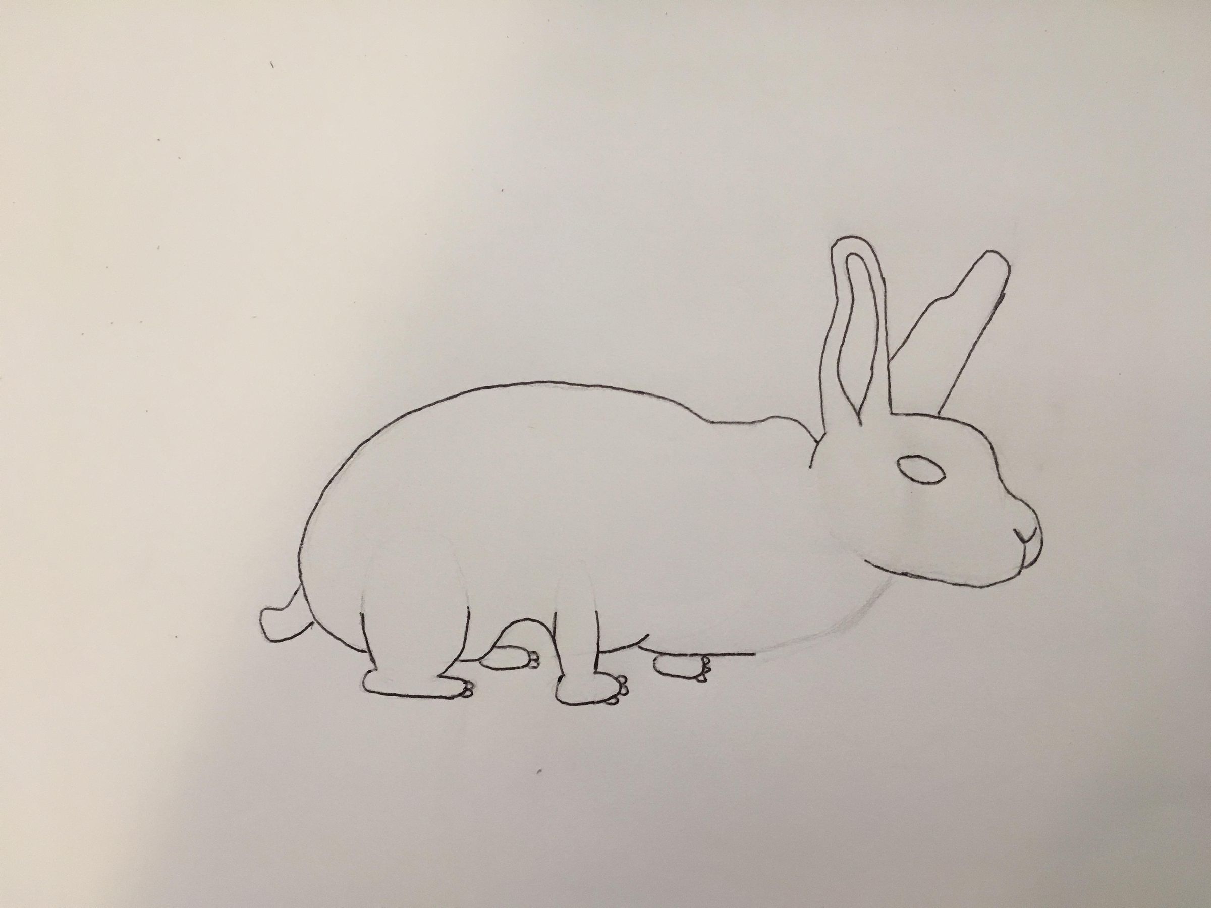 How to Draw a Realistic Bunny (standing) : 26 Steps - Instructables