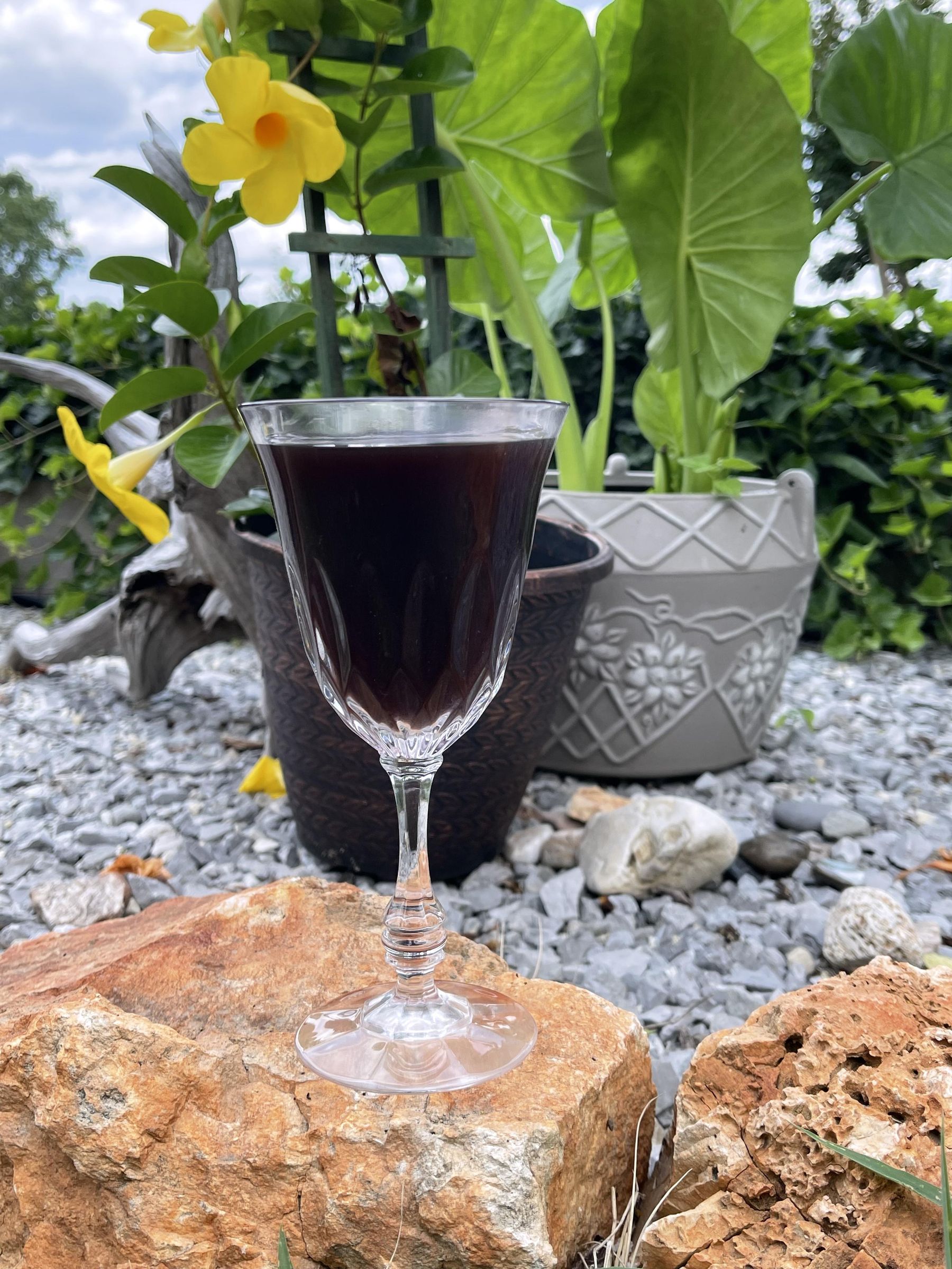 Elderberry Wine : 6 Steps - Instructables