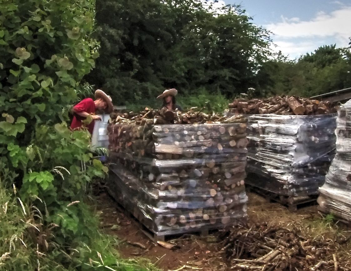 How to Stack and Ventilate Firewood With Pallet Wrap : 18 Steps (with ...