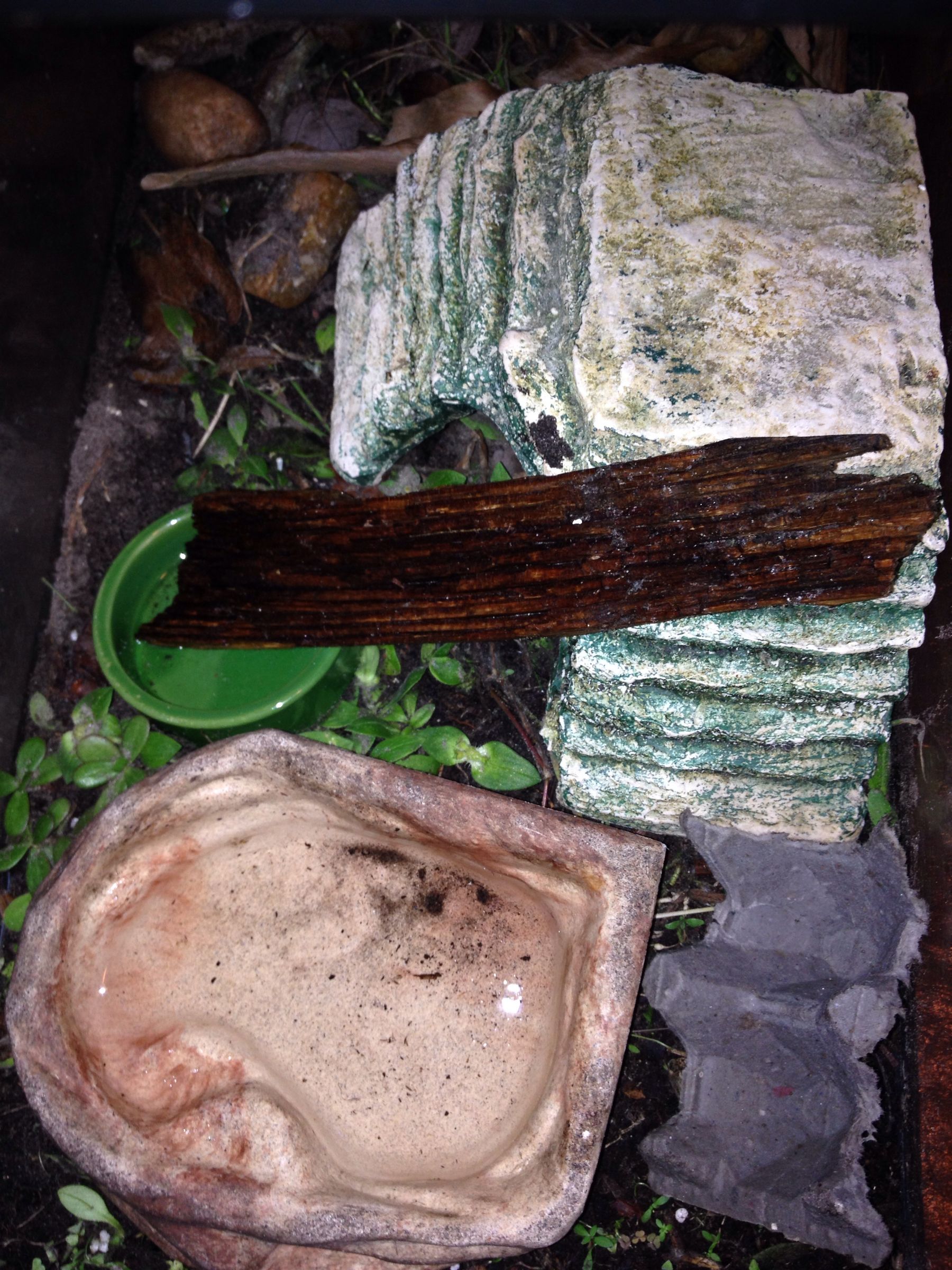 Making a Reptile Climbing Stick and Hiding Stick : 5 Steps - Instructables
