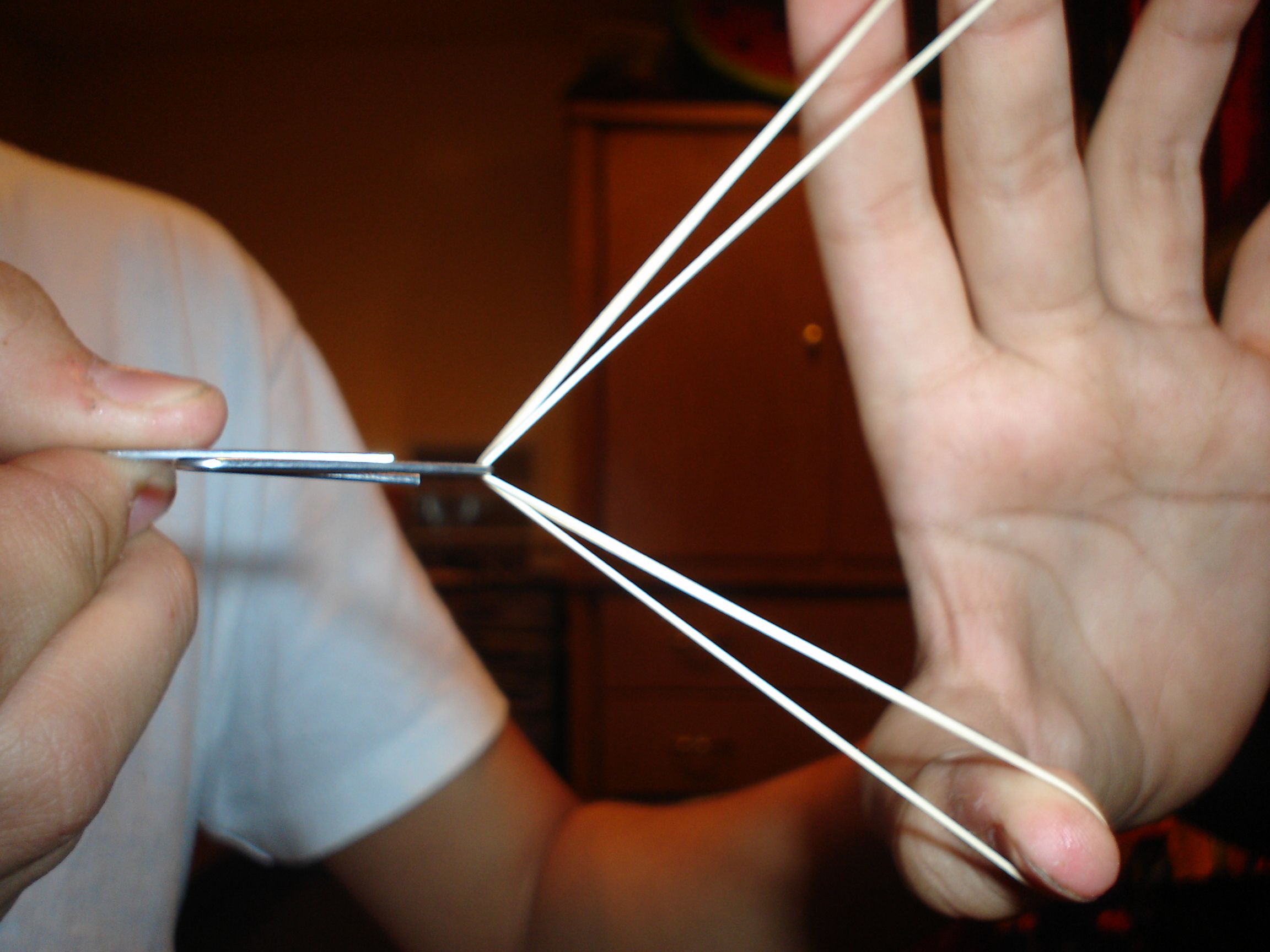 Paper Clip Wasp - Instructables