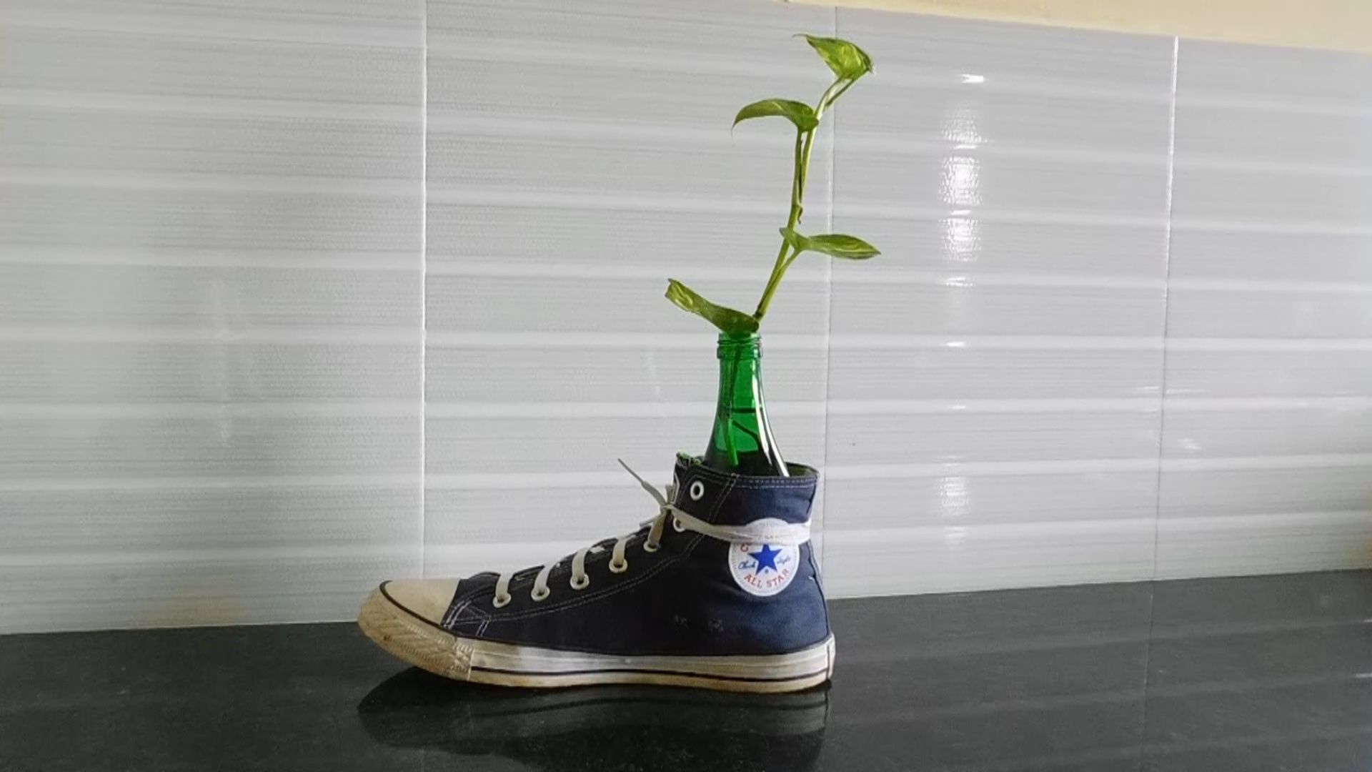 Indoor Planting Setup Using Your Old Shoe : 4 Steps - Instructables