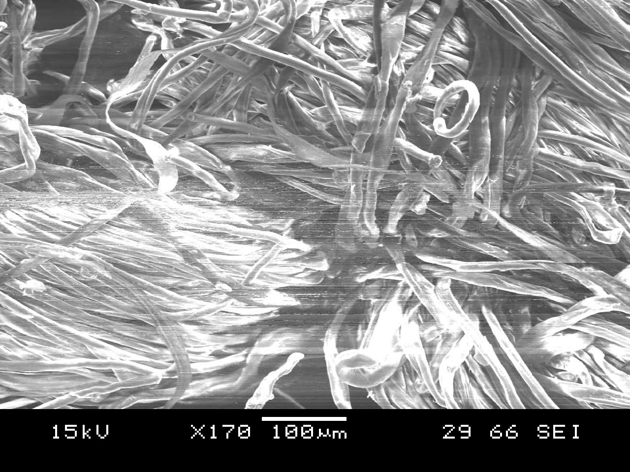 Water Filtration Using Fabric : 9 Steps (with Pictures) - Instructables