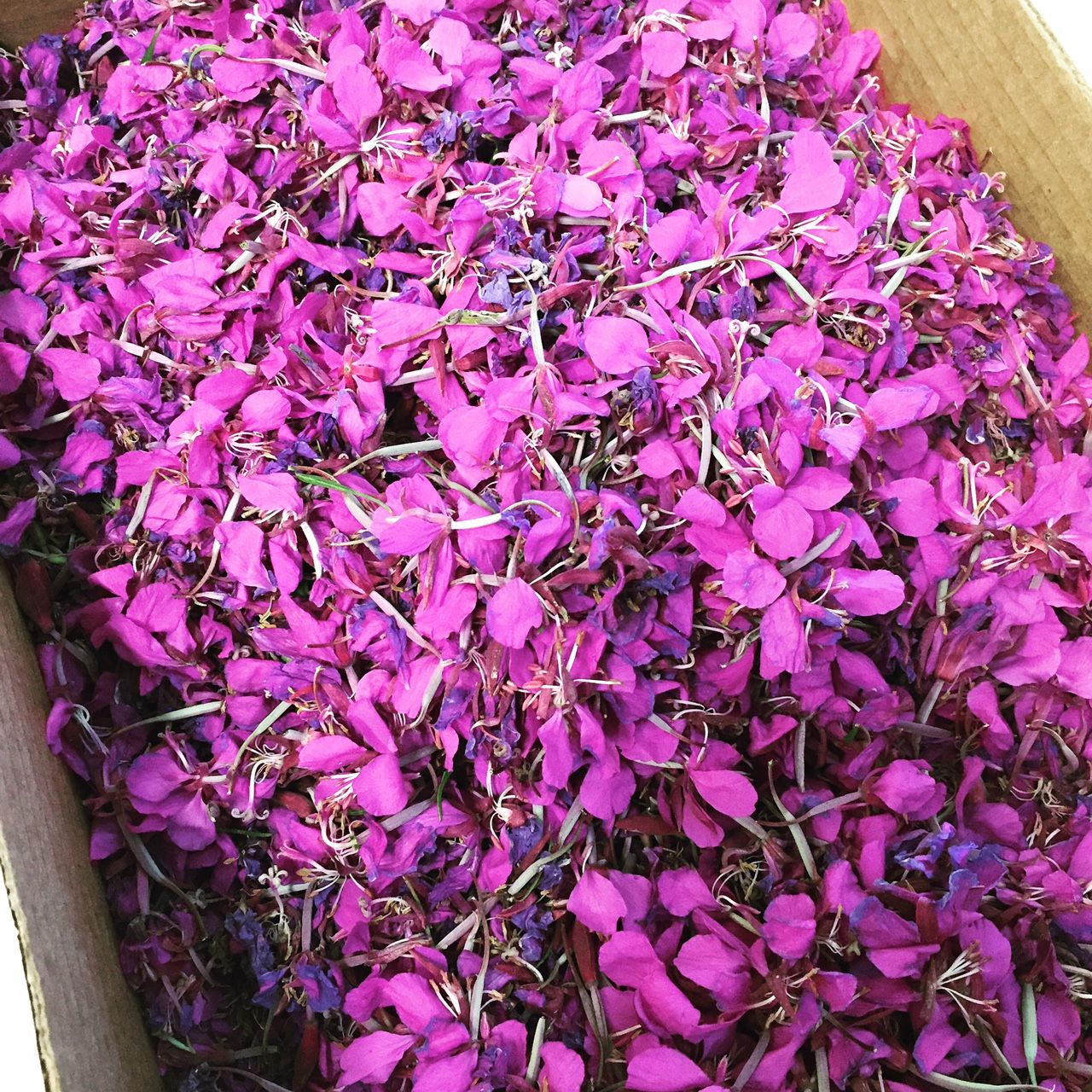 Fireweed Jelly (or Other Edible Flower Jelly) : 4 Steps - Instructables