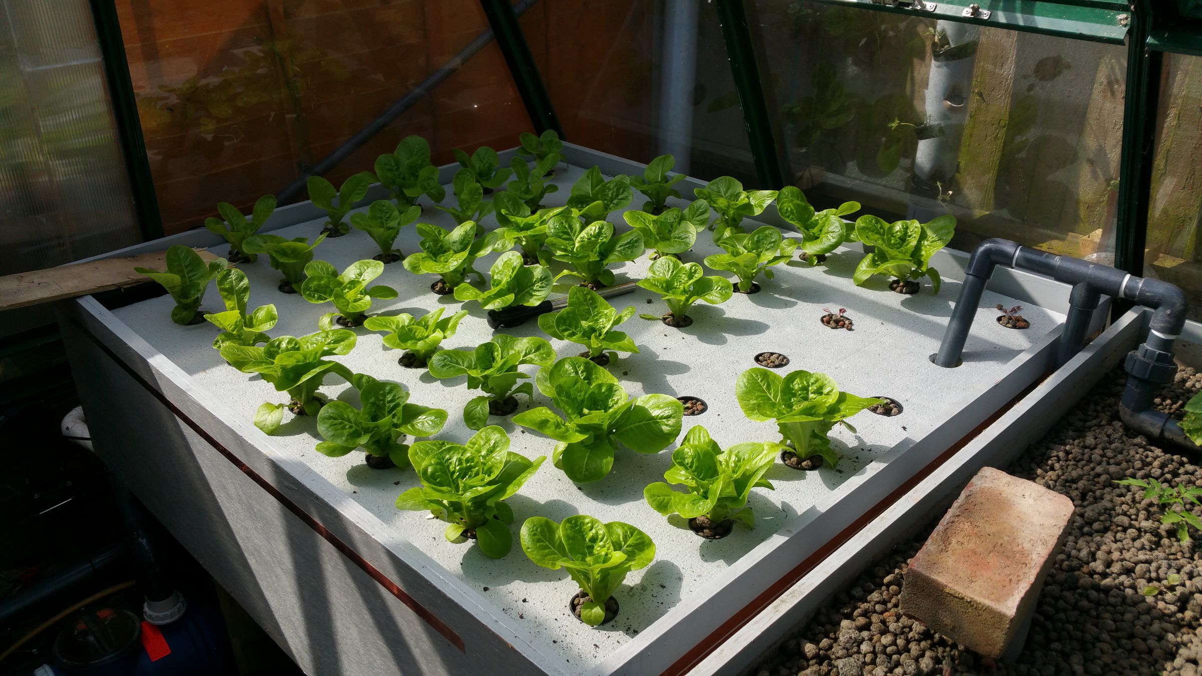 Building an Aquaponic Grow Bed Flood and Drain. : 10 Steps (with ...