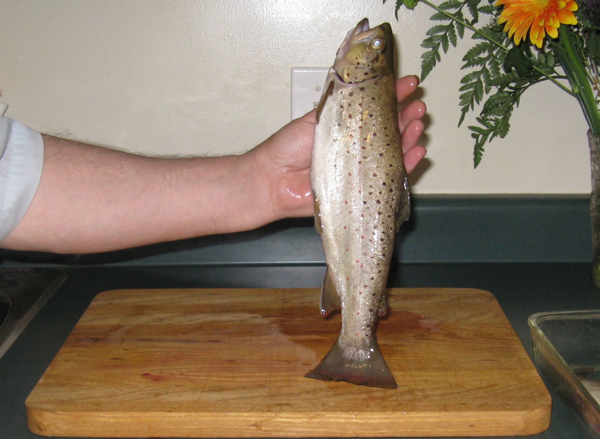 Fresh Trout Breakfast : 10 Steps (with Pictures) - Instructables