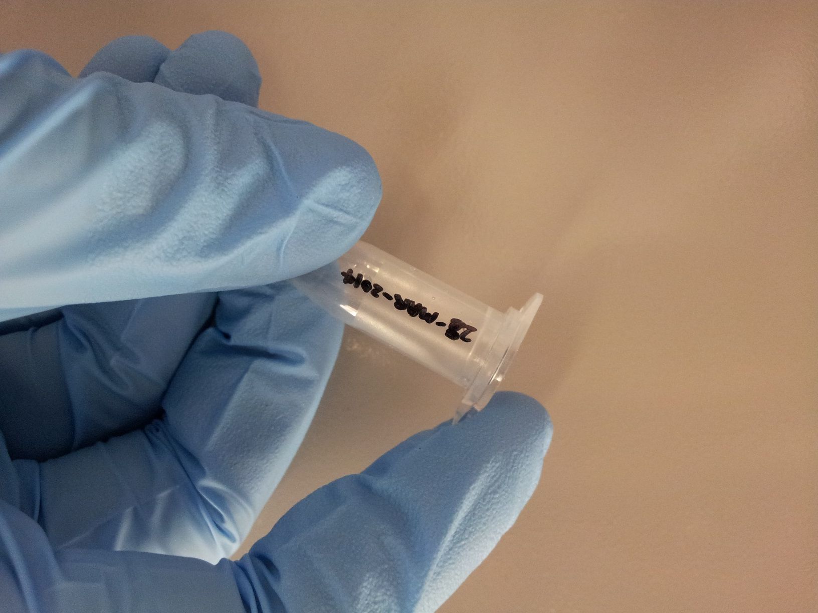 Evaluation for an APS/TEMED Aliquot in the SDS-PA Gel Protocol : 8 ...