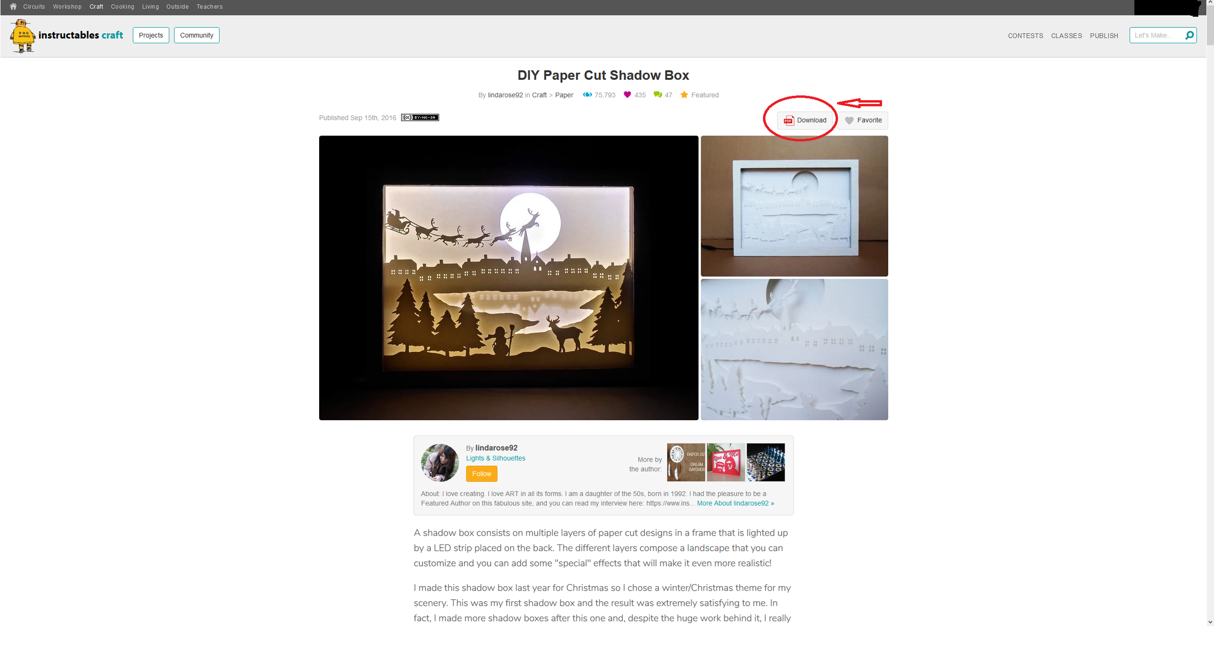 DIY Paper Cut Shadow Box : 9 Steps (with Pictures) - Instructables