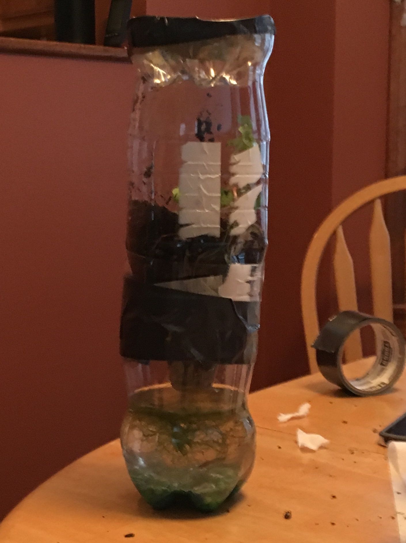 Closed Ecosystems : 9 Steps (with Pictures) - Instructables
