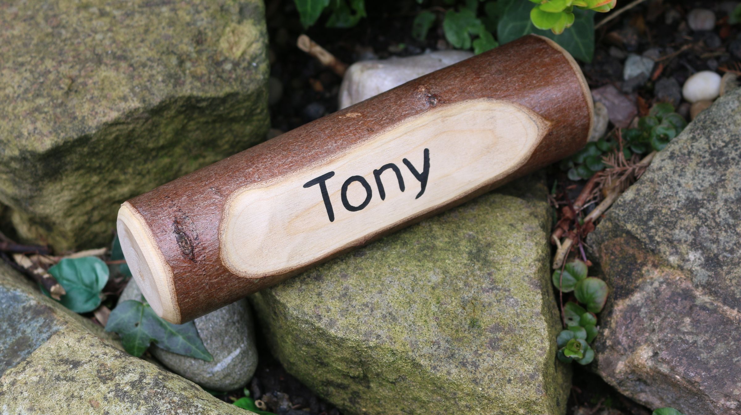 Super Simple! Rustic Log Name Plate : 4 Steps (with Pictures ...