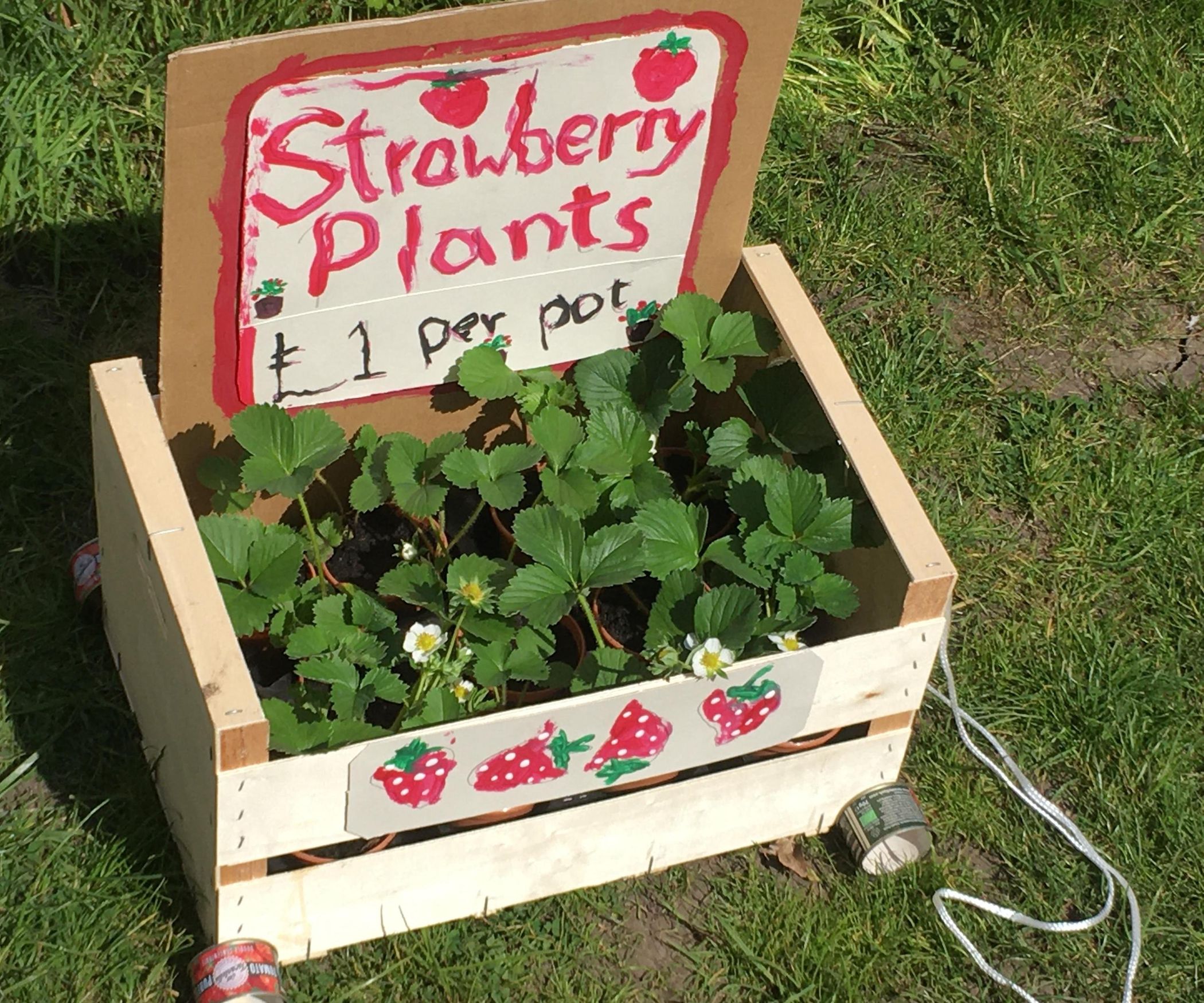 Mobile Plant Shop / Seed Swap Shop : 12 Steps (with Pictures ...