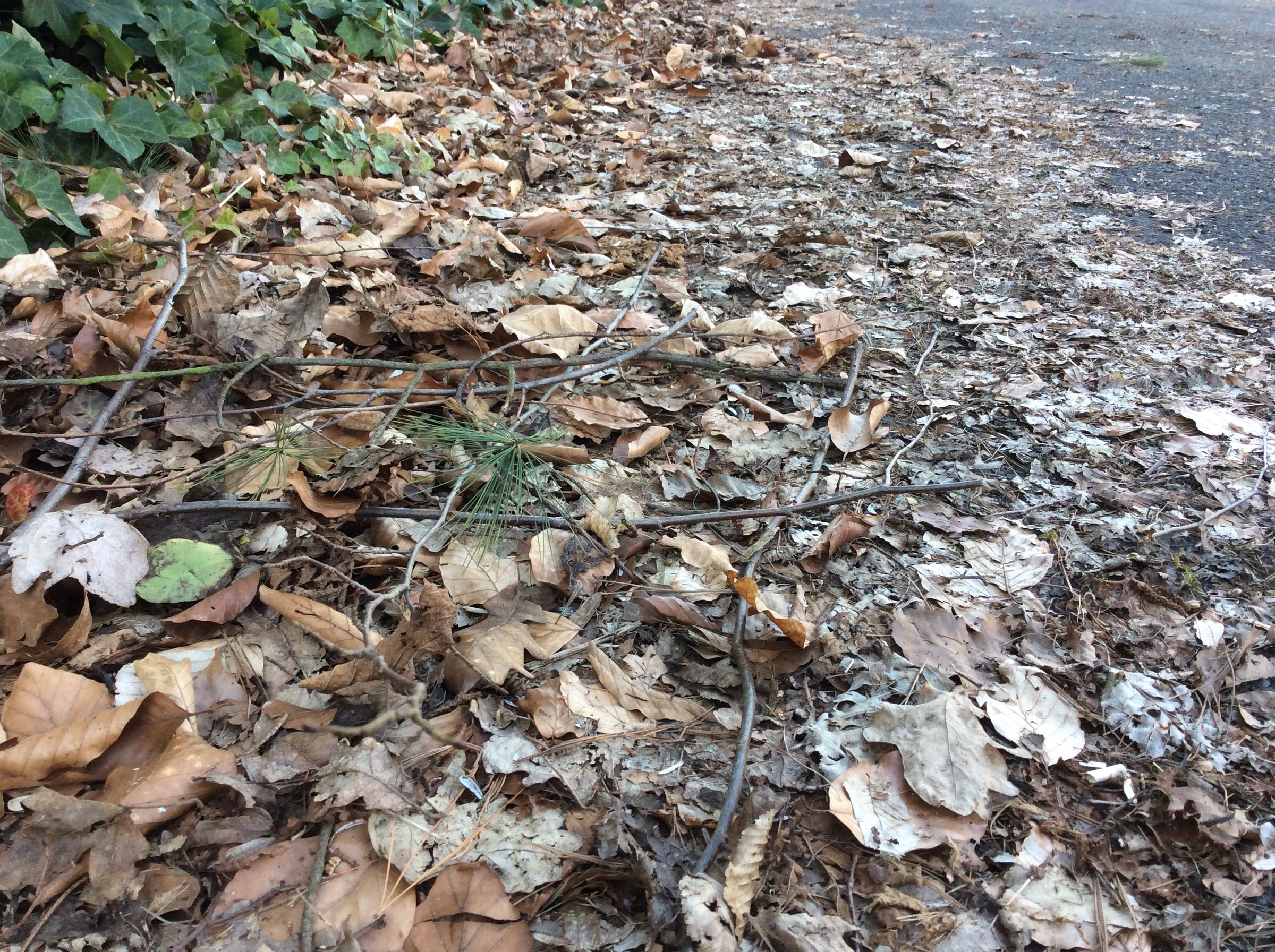 Noah's Raft: the Tiny One : 6 Steps - Instructables