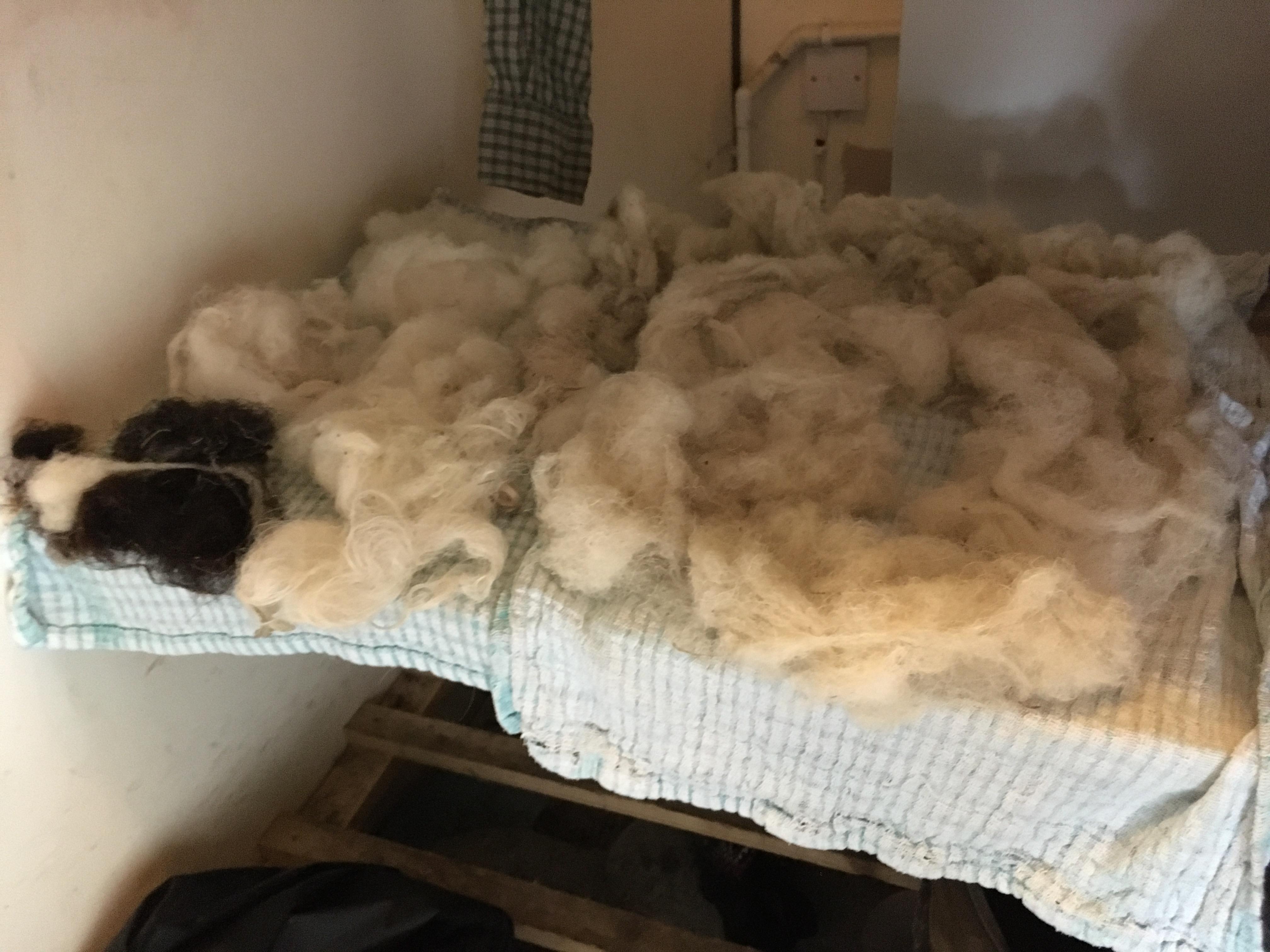 DIY Wool: Forage, Spin and Dye Your Own Yarns : 49 Steps (with Pictures ...