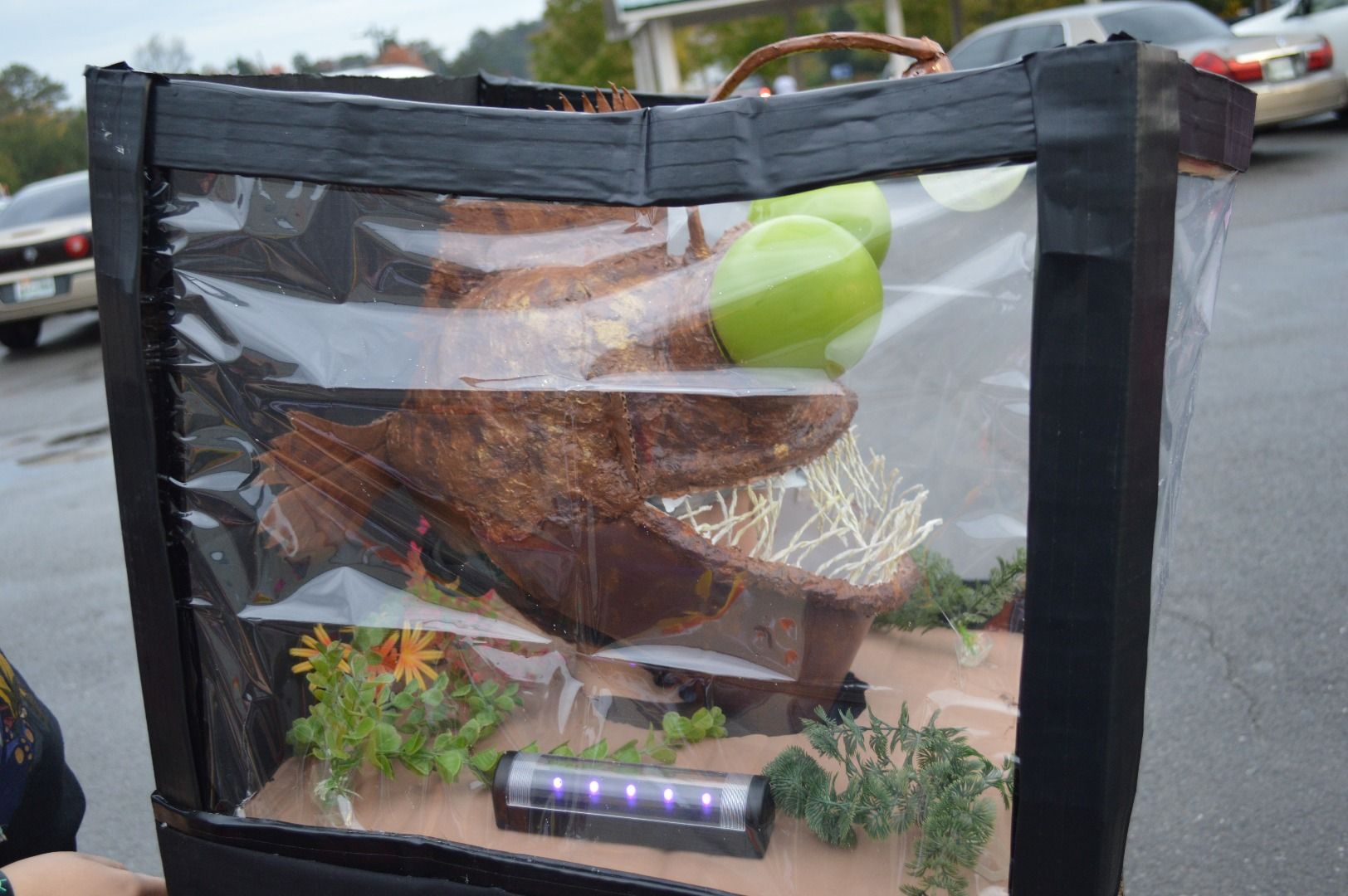 Angler Fish in a Aquarium (with Pictures) - Instructables