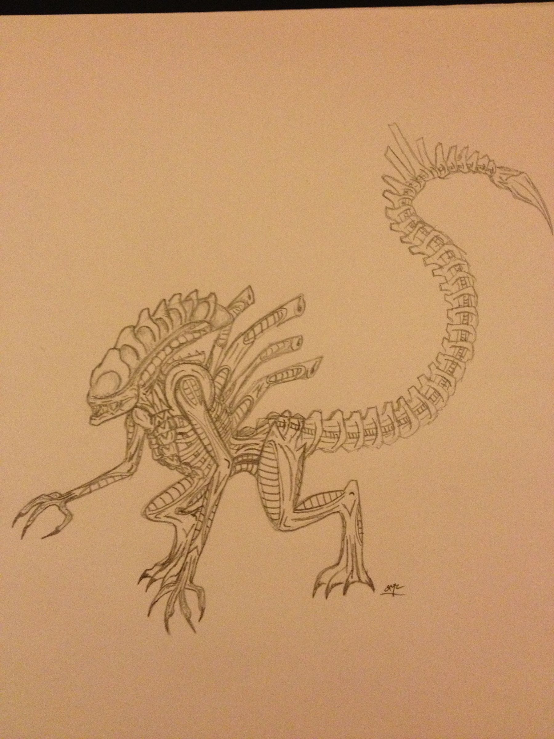 How to Draw a Xenomorph (warrior) : 8 Steps - Instructables