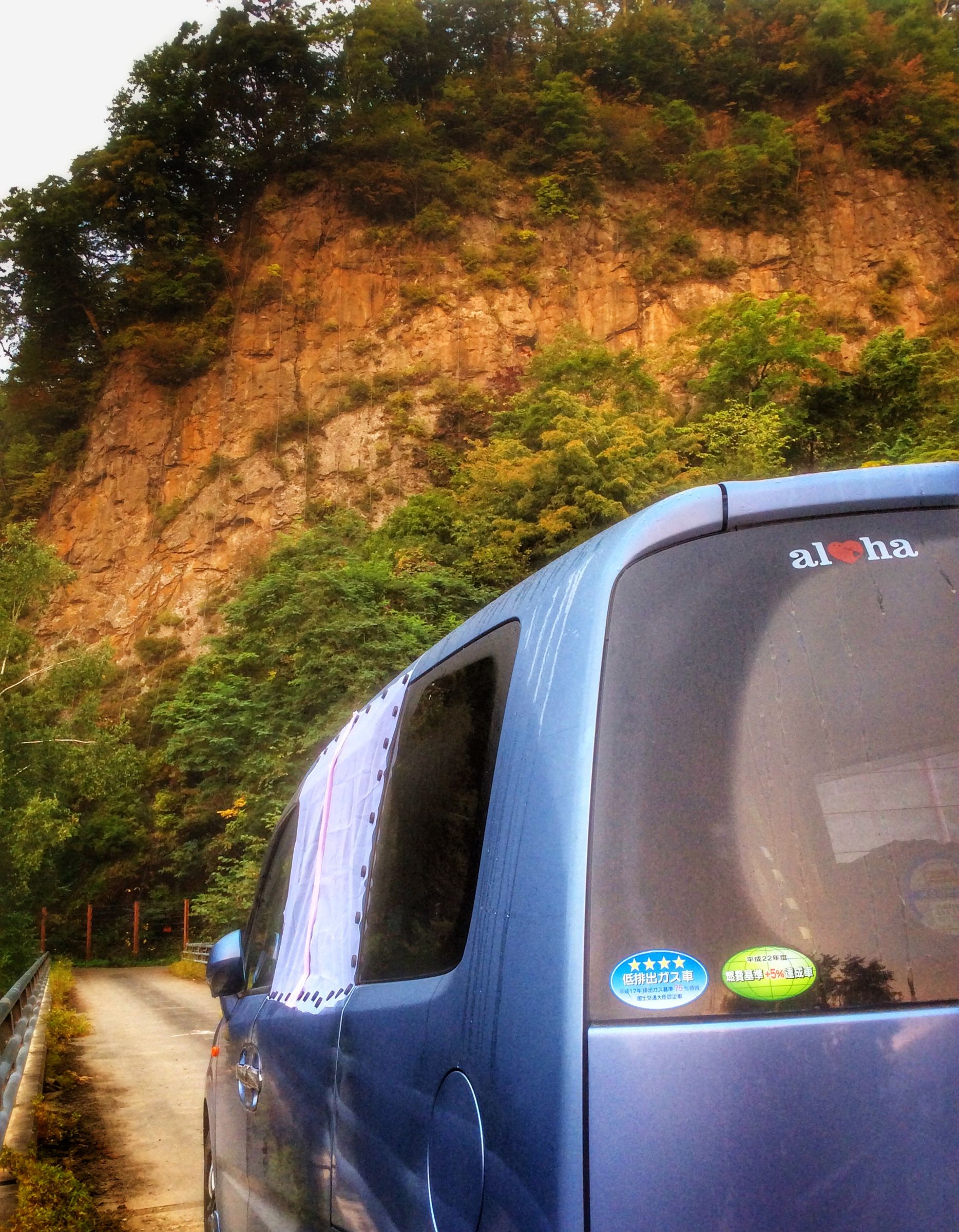 Car Camping Window Screens : 3 Steps (with Pictures) - Instructables