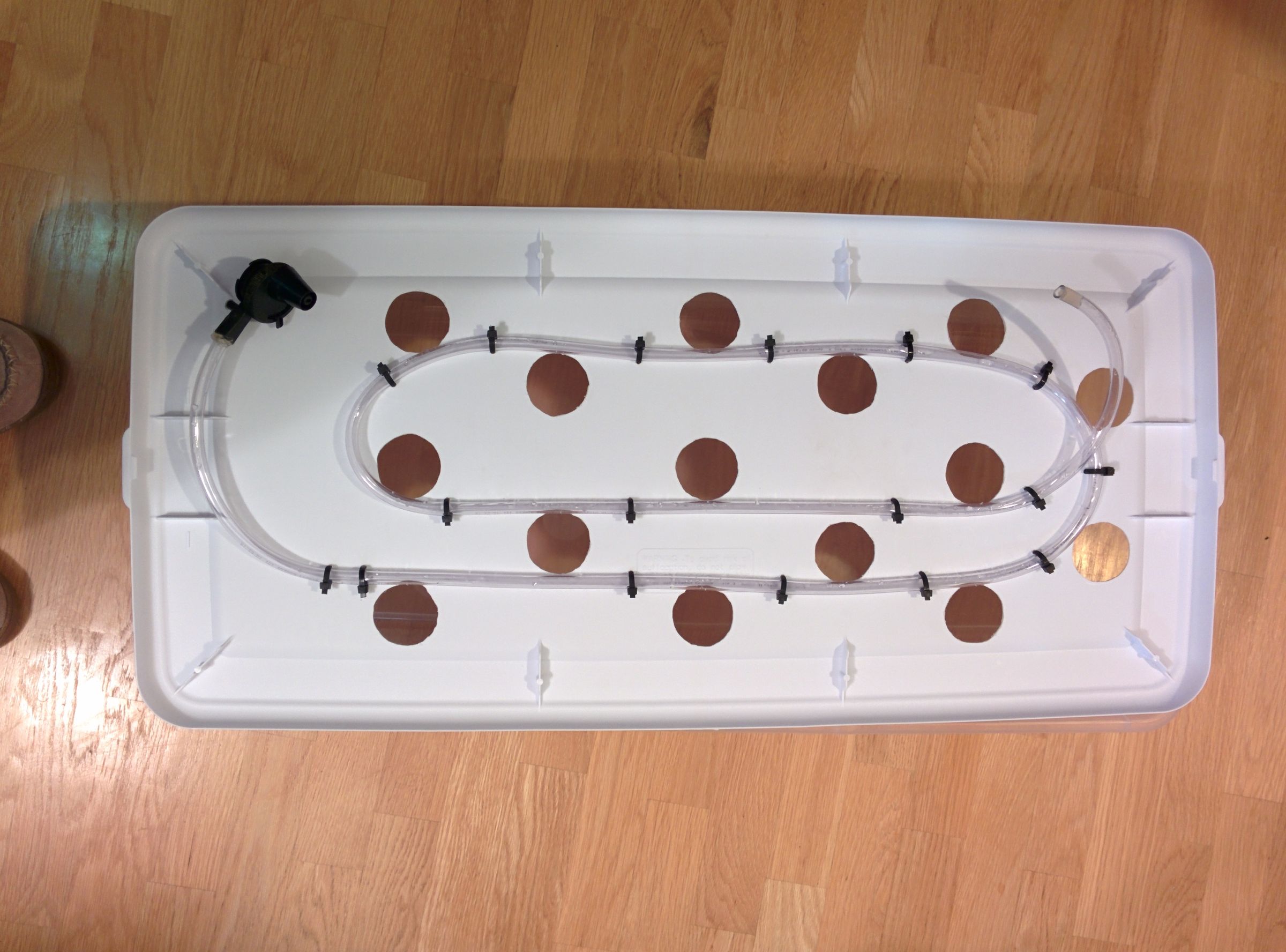 Simple Hydroponic System : 5 Steps - Instructables