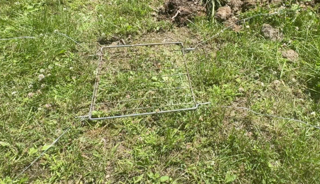 Paper Bag Pig in the Ground : 10 Steps (with Pictures) - Instructables