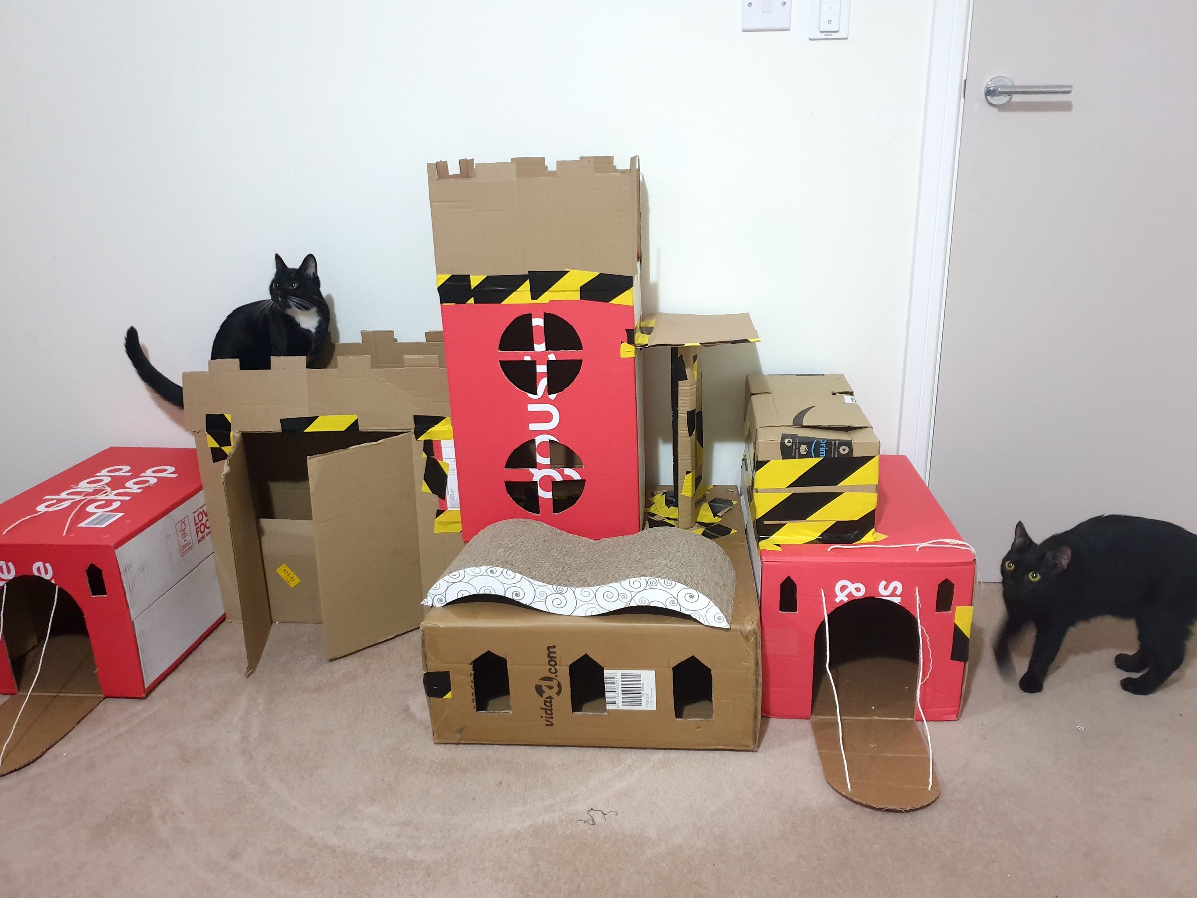 Cardboard Cat Fort With LED Remote Control Lighting and Real Drawbridge ...