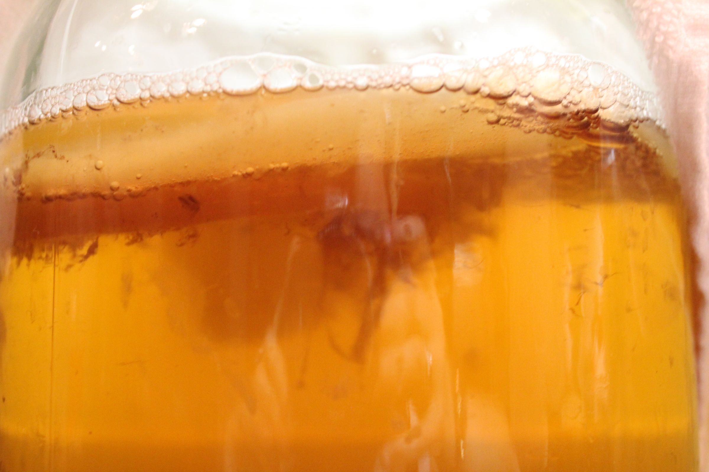 Double Fermented Kombucha : 10 Steps (with Pictures) - Instructables
