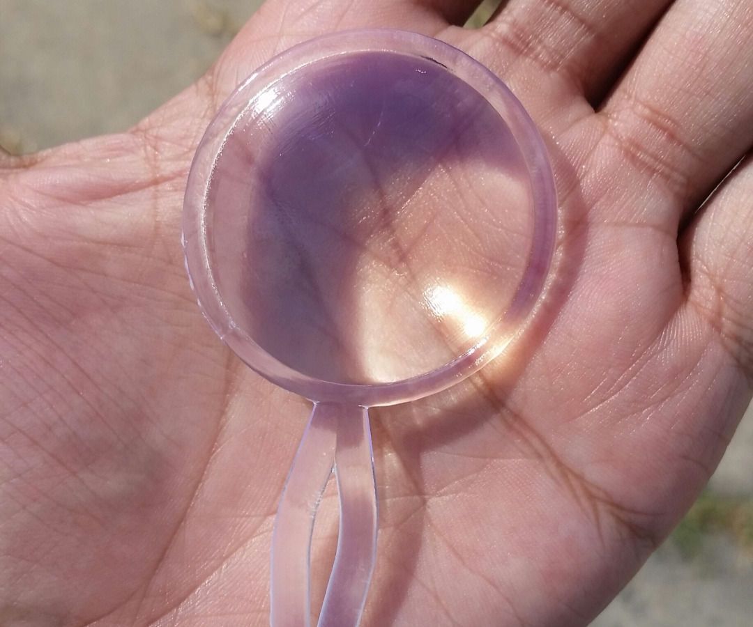 3D Printed Magnifying Glass : 4 Steps (with Pictures) - Instructables