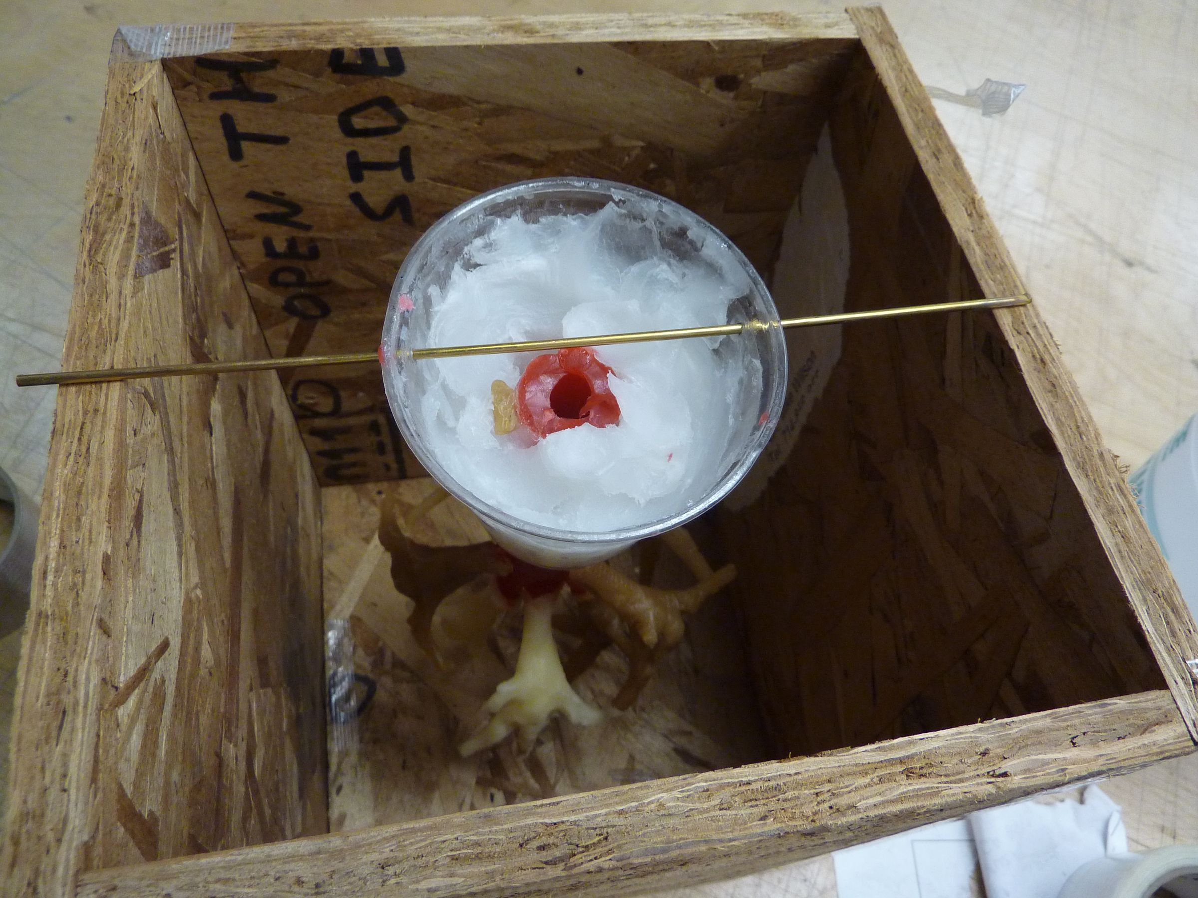 Making a Wax Chicken Foot Tree : 6 Steps (with Pictures) - Instructables