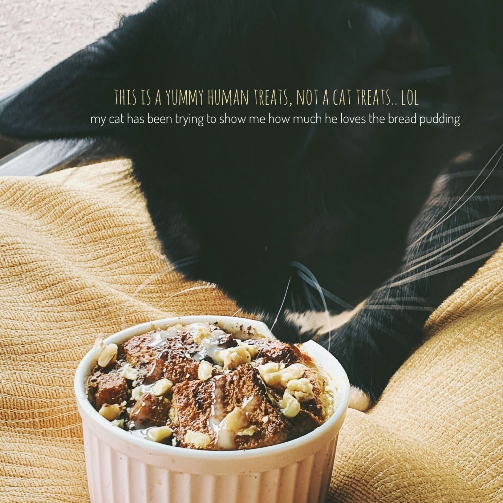 3-Ingredients Milo Spread for Easy Chocolate Malt Bread Pudding : 17 ...