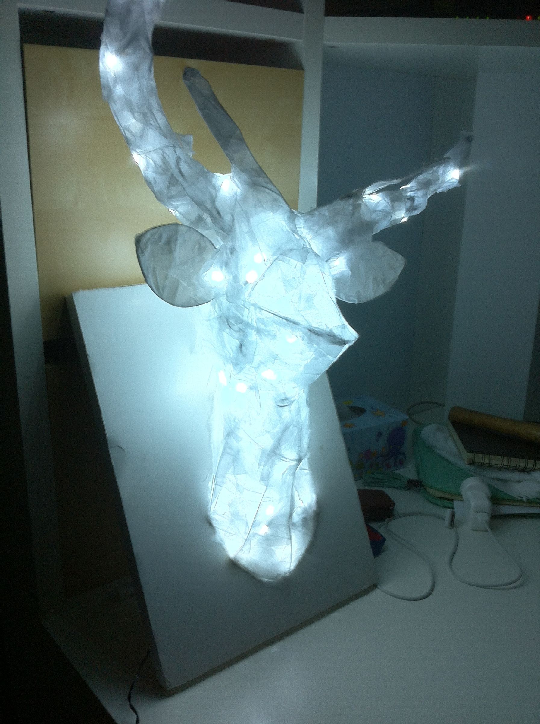 Wall Trophy Lamp : 6 Steps (with Pictures) - Instructables