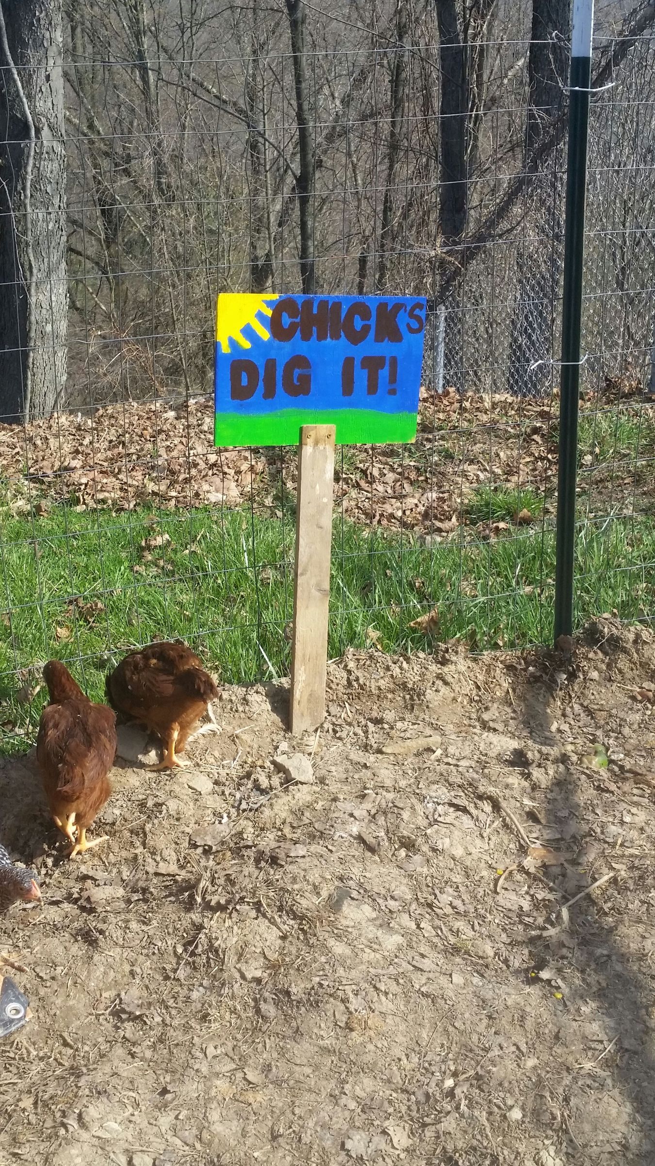 Chick's Dig It Sign : 4 Steps - Instructables