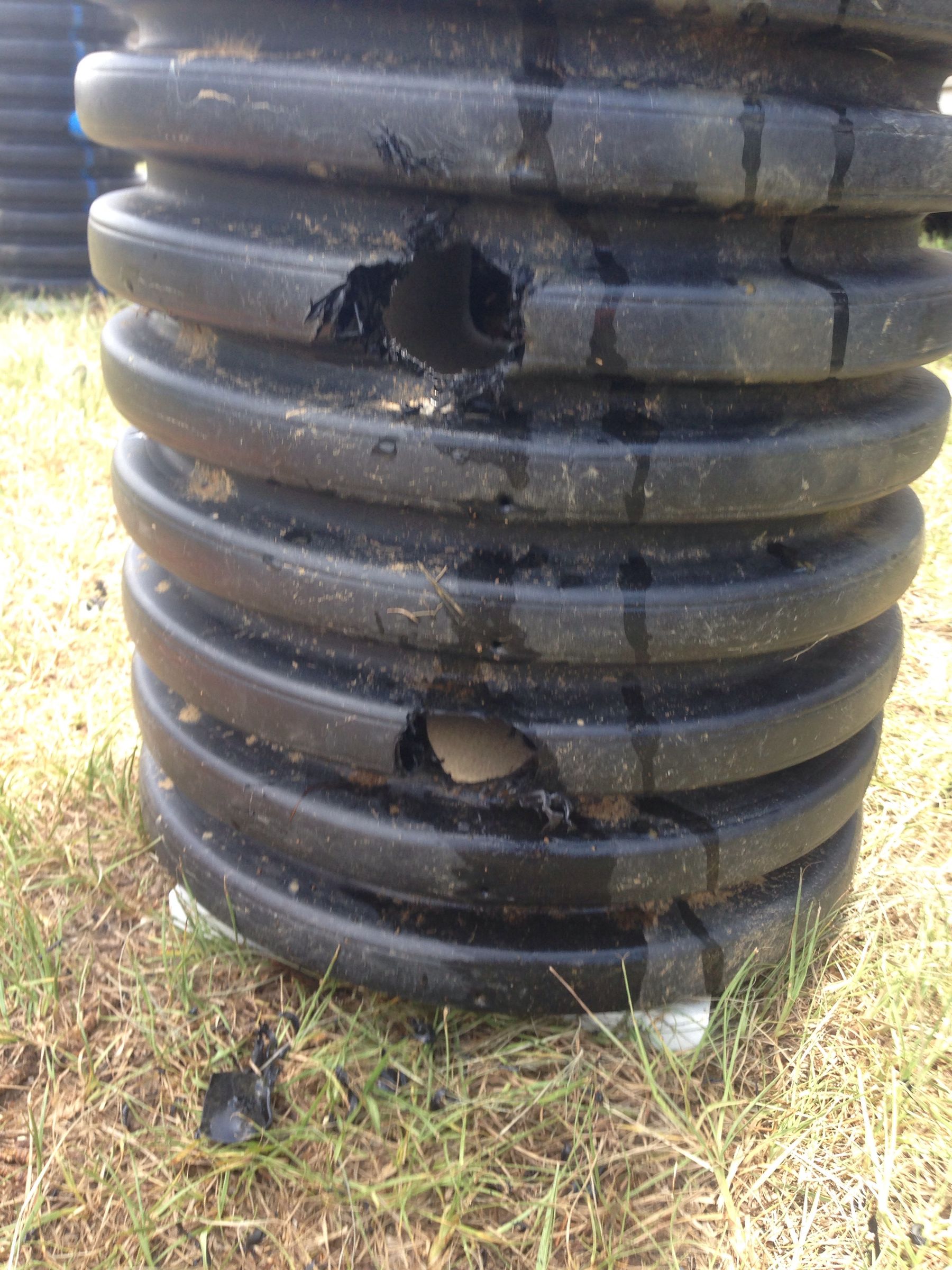 Artificial Fish Attractor : 4 Steps - Instructables