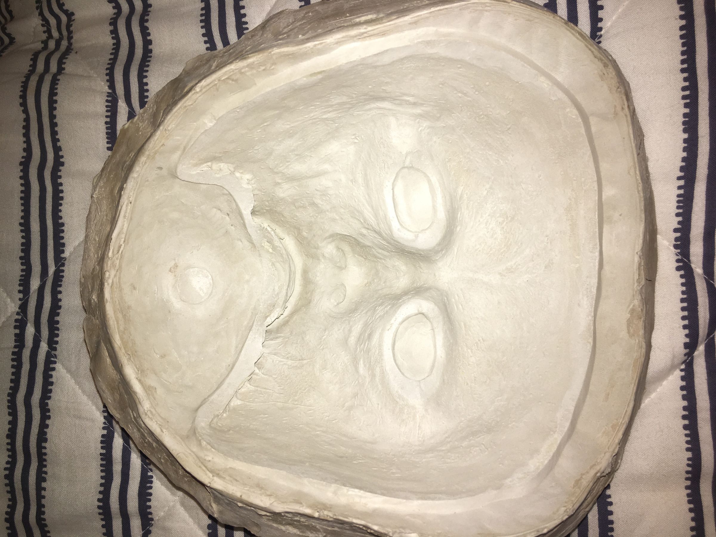 Making Jawless Zombie Prosthetics : 5 Steps (with Pictures) - Instructables